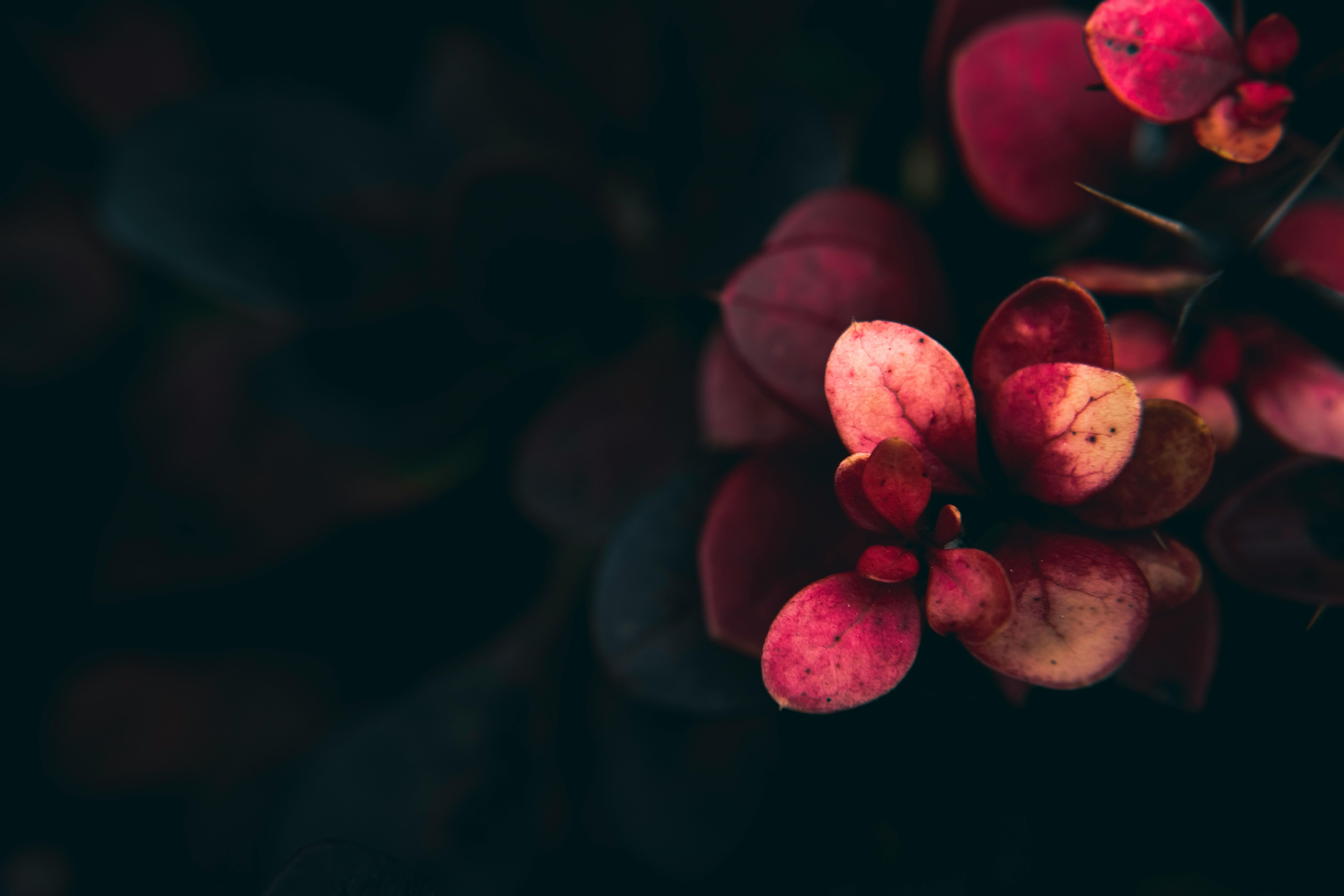 Youtube Growth Photos, Download The BEST Free Youtube Growth Stock ...