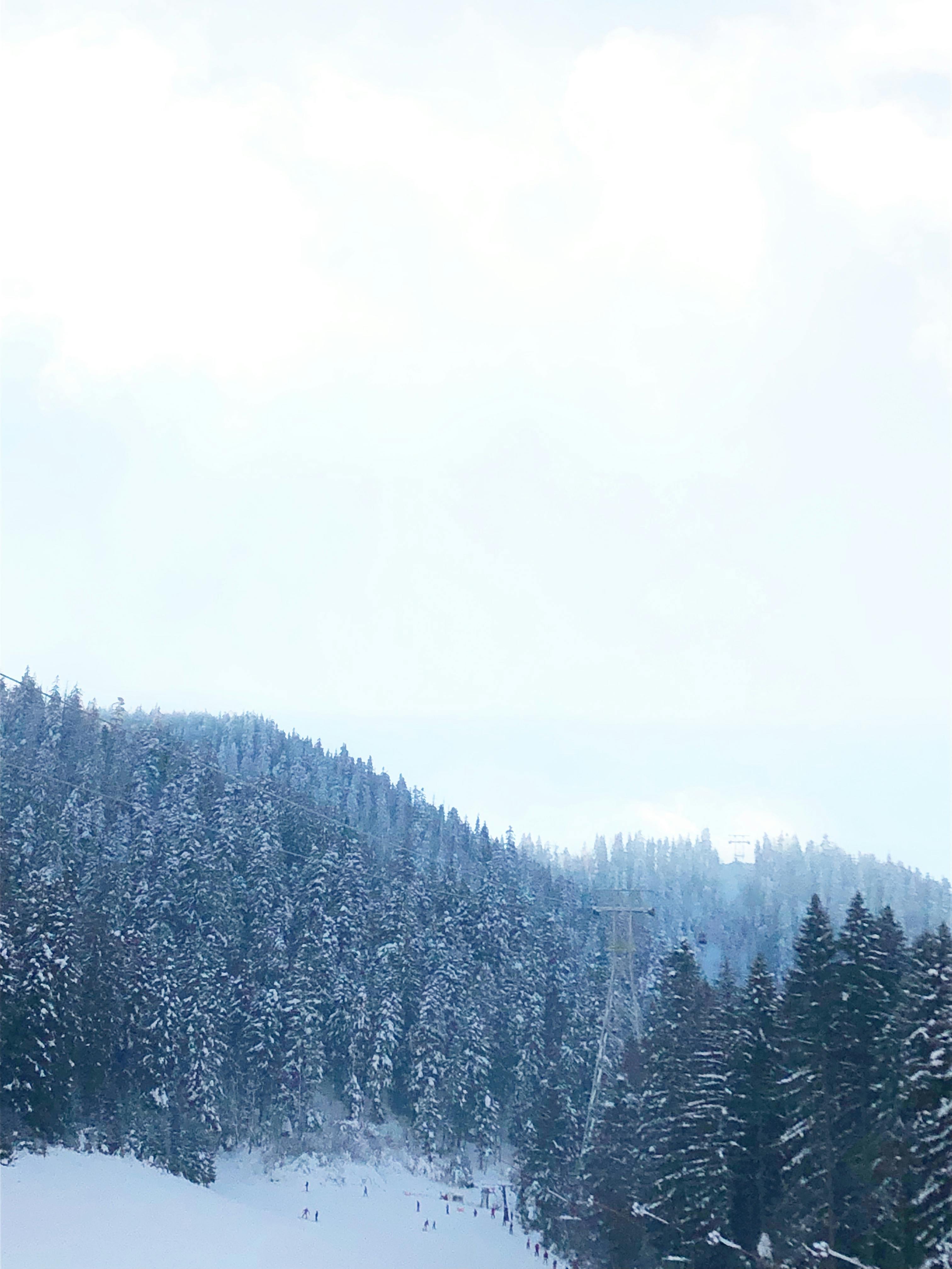 Albert Roman – Fotografie