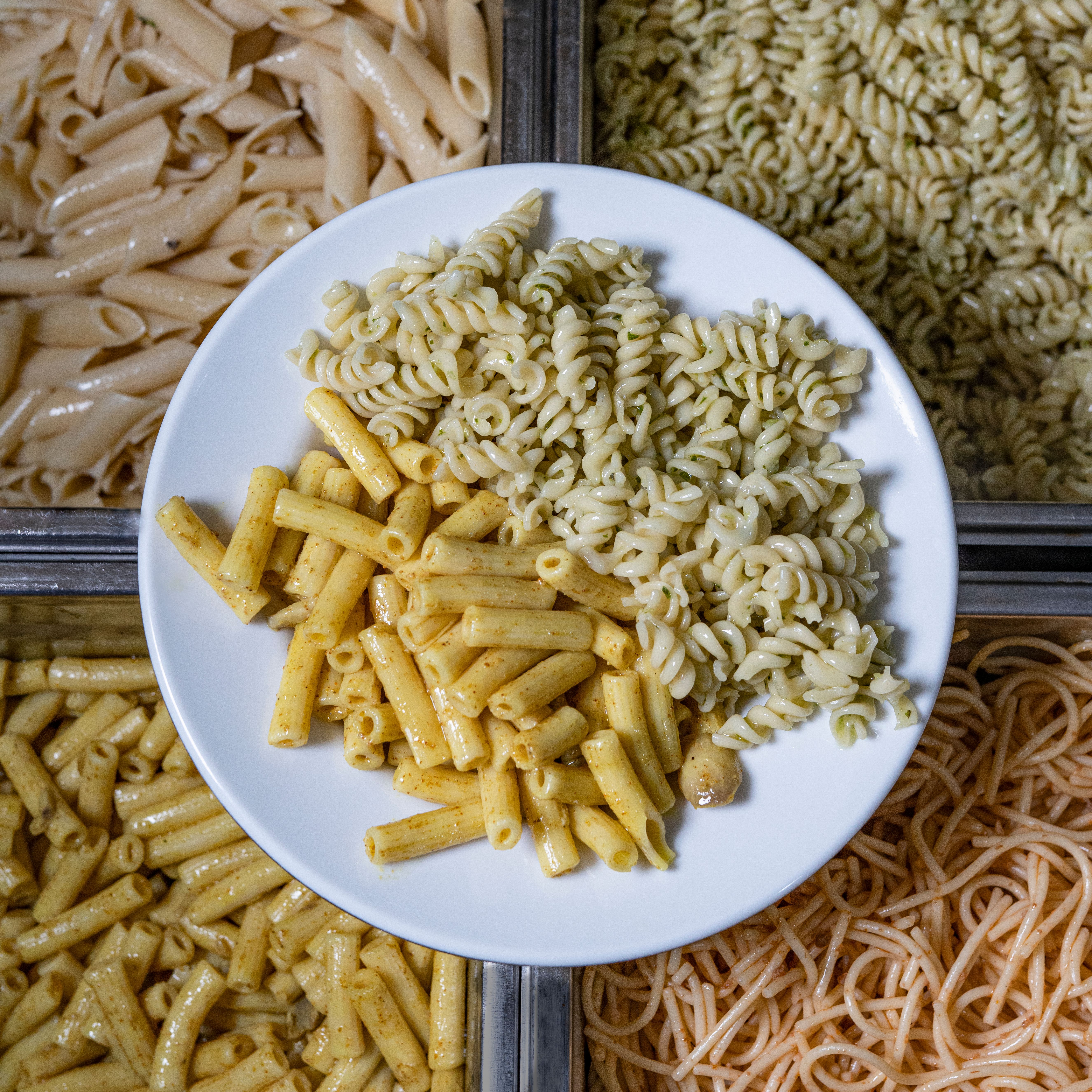 Plate with Pasta Types · Free Stock Photo