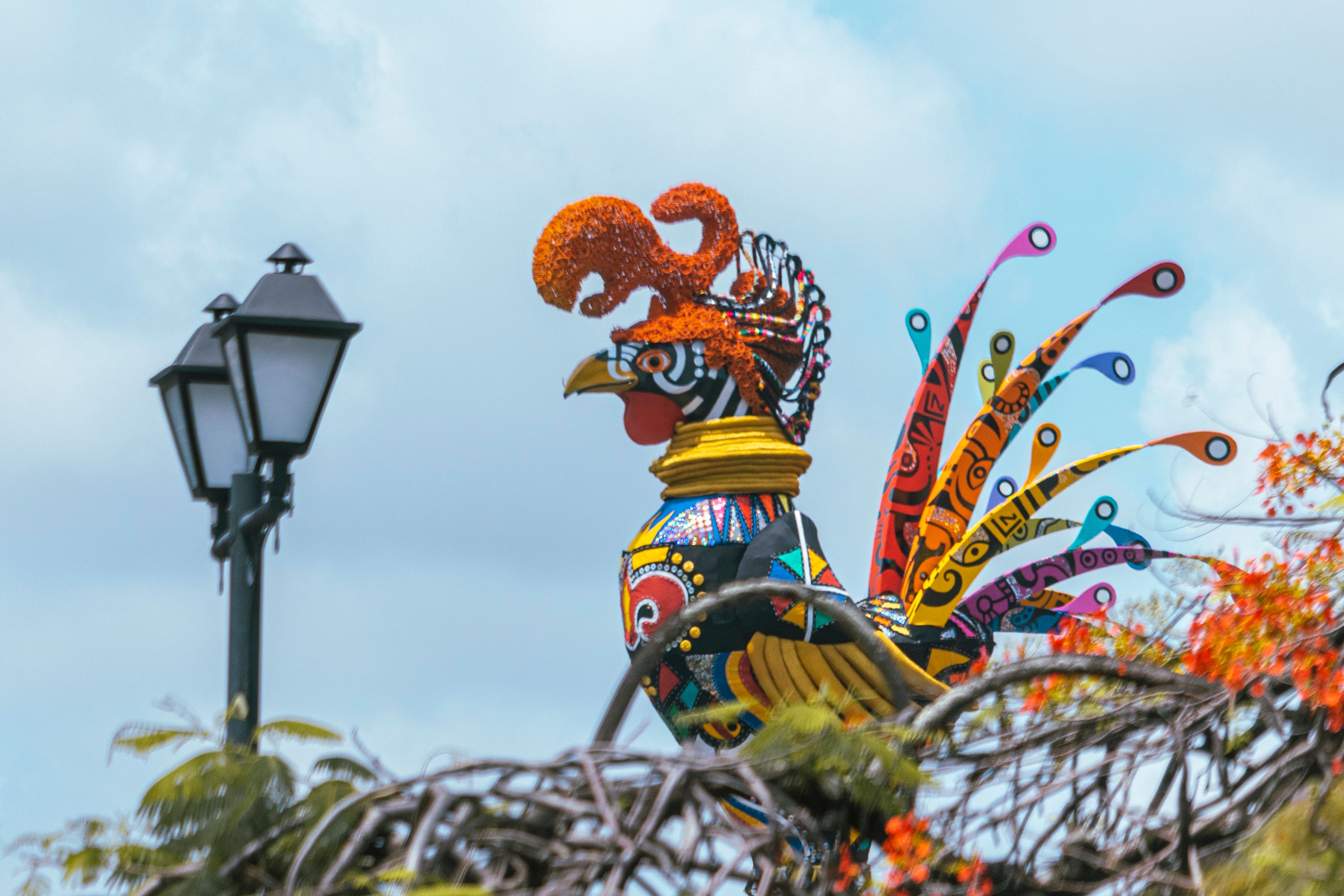 Giant Rooster Photos, Download The BEST Free Giant Rooster Stock Photos ...