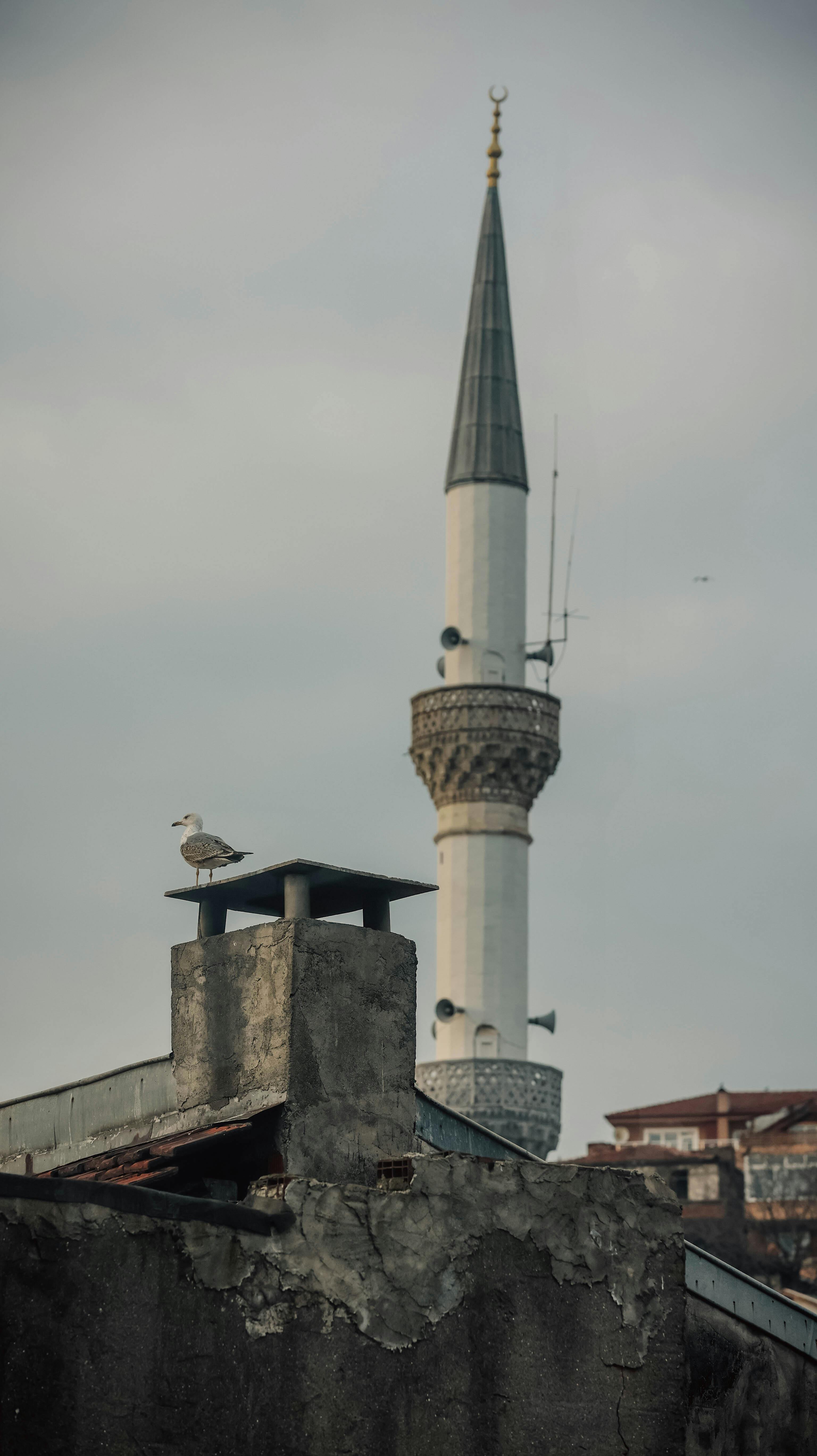 Tower of a Minaret · Free Stock Photo