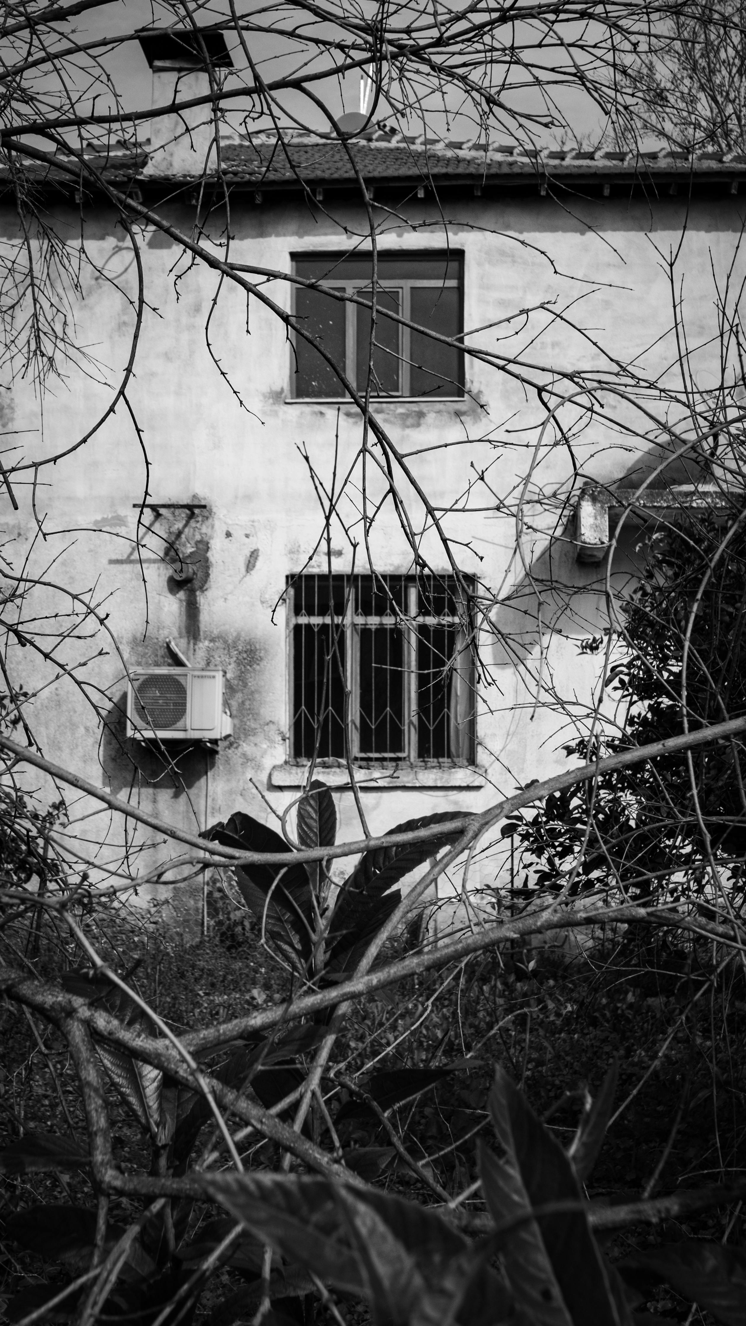 Old Things Photography