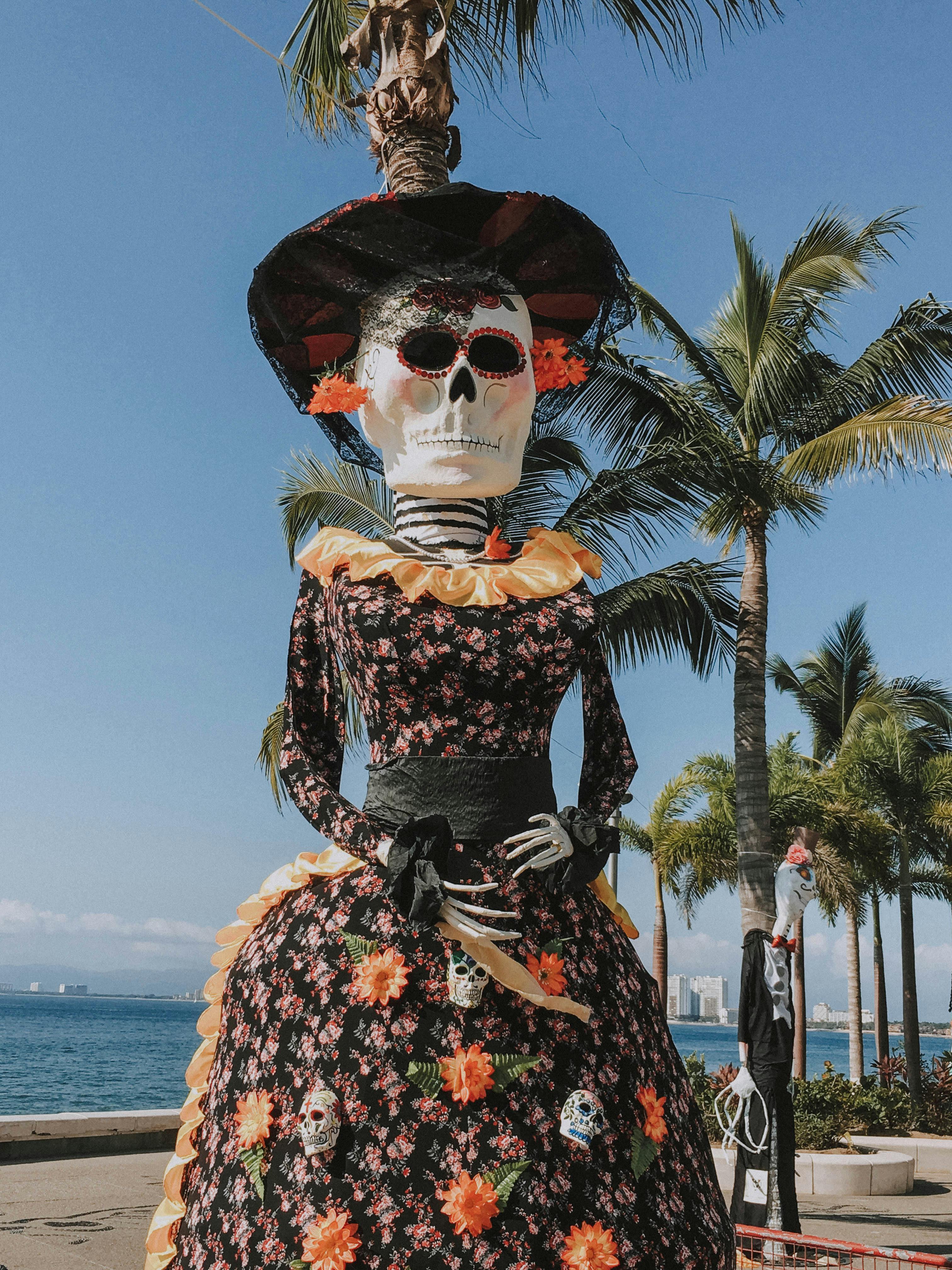 600+ Best Skeleton Photos · 100% Free Download · Pexels Stock Photos