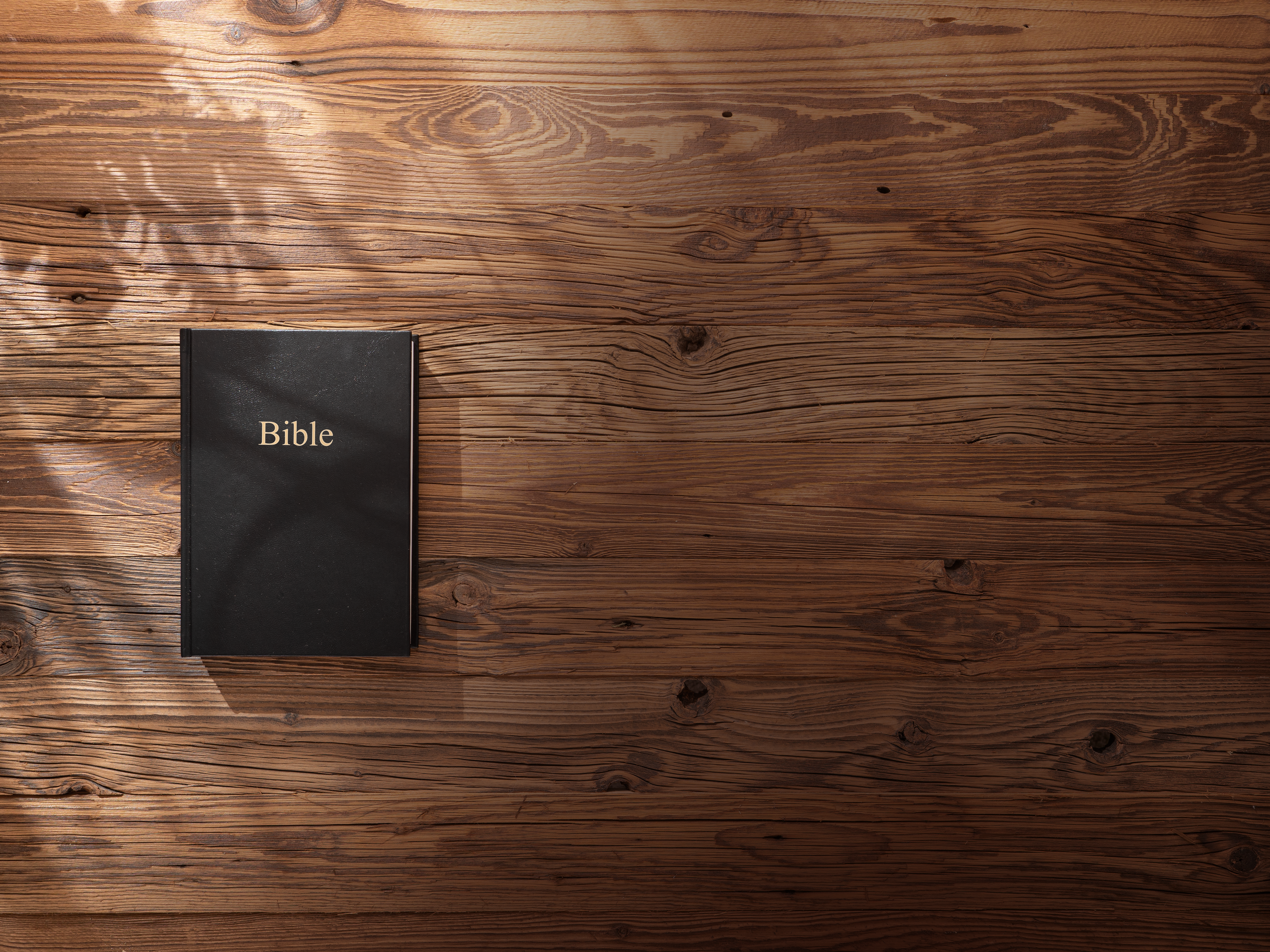 Bible Book on Brown Background · Free Stock Photo