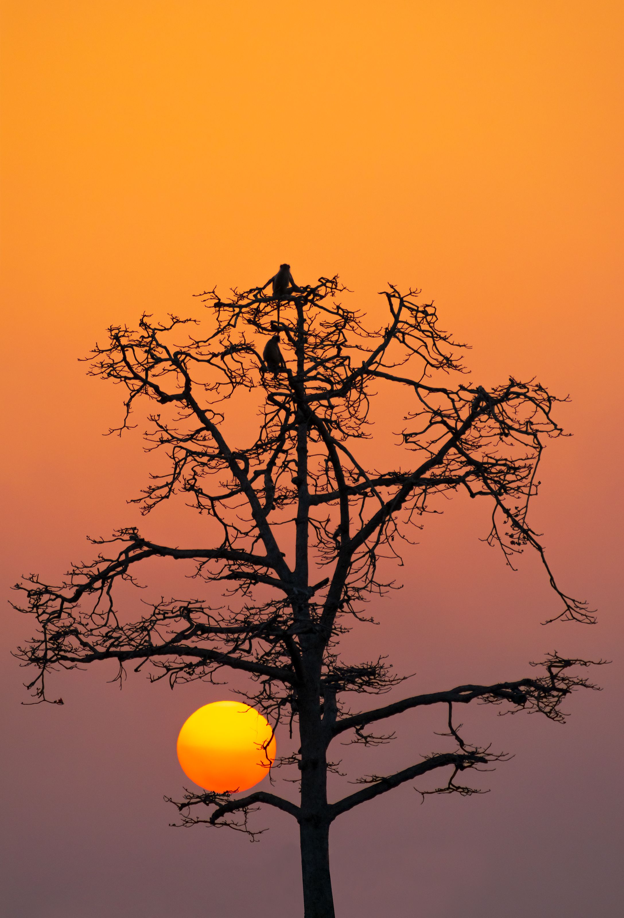 Dream Wallpaper Photos, Download The BEST Free Dream Wallpaper Stock ...