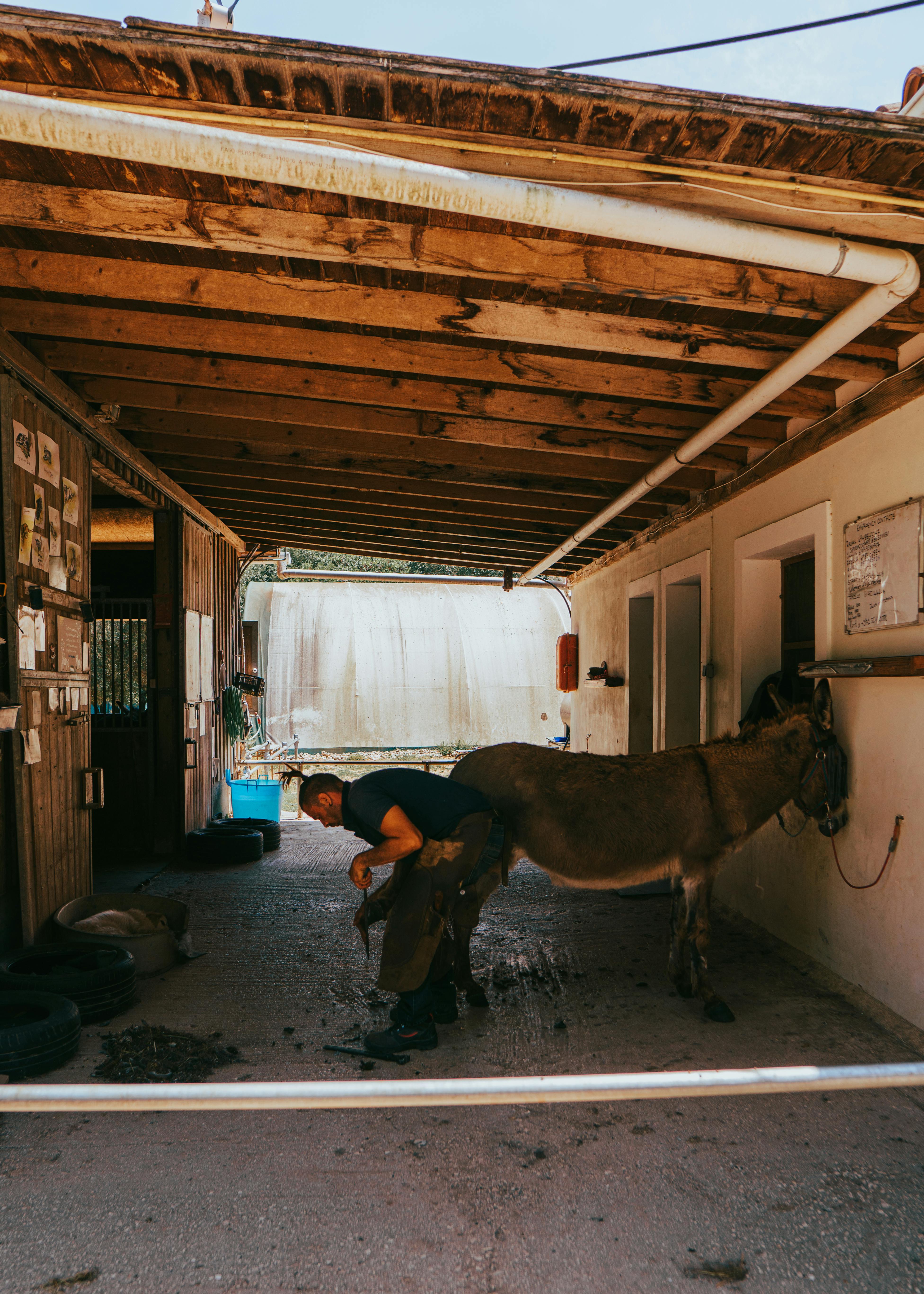 Man Working at Stable · Free Stock Photo