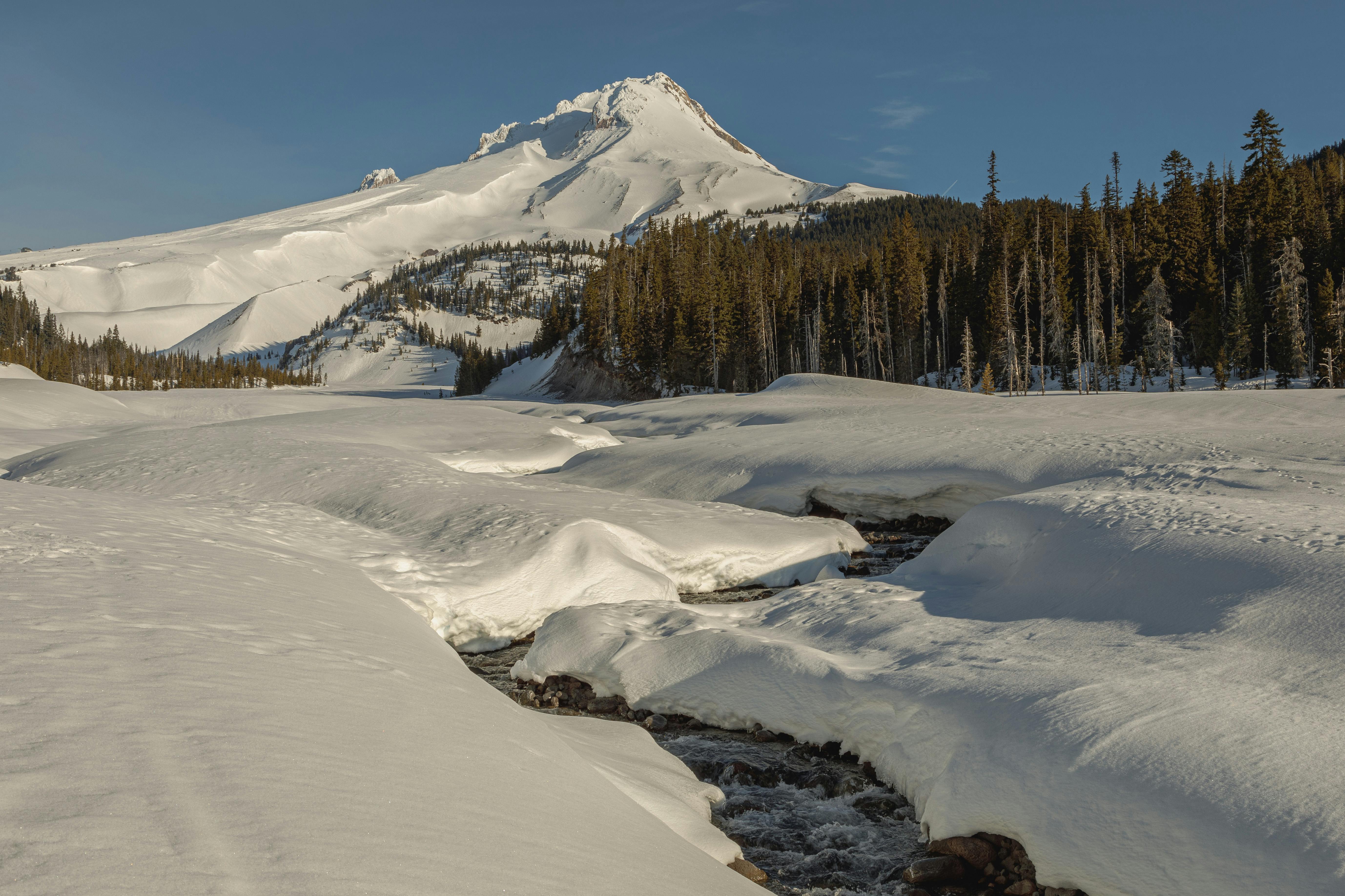 Snow around Stream in Nature · Free Stock Photo