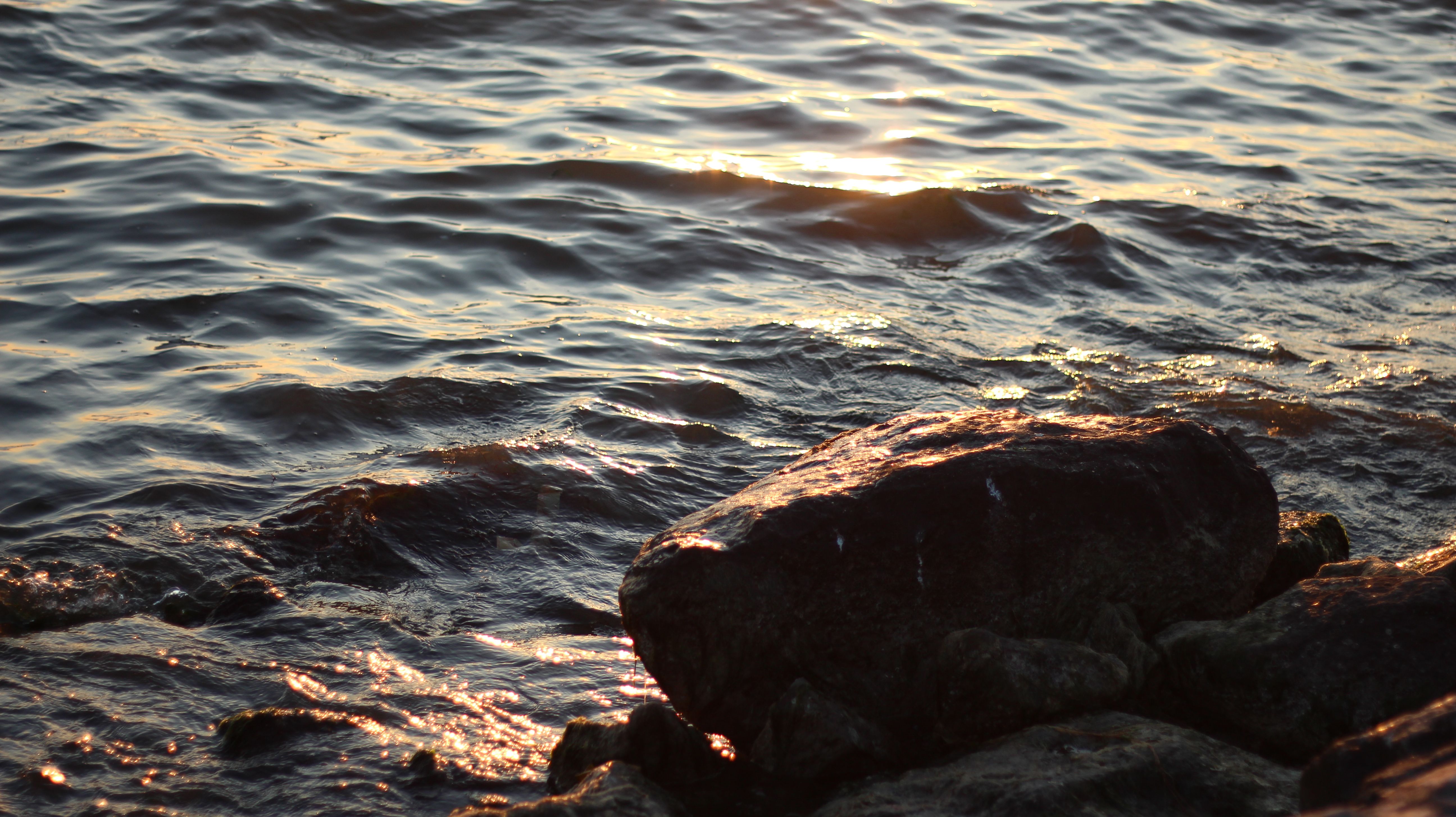 Wet Rock and Water · Free Stock Photo