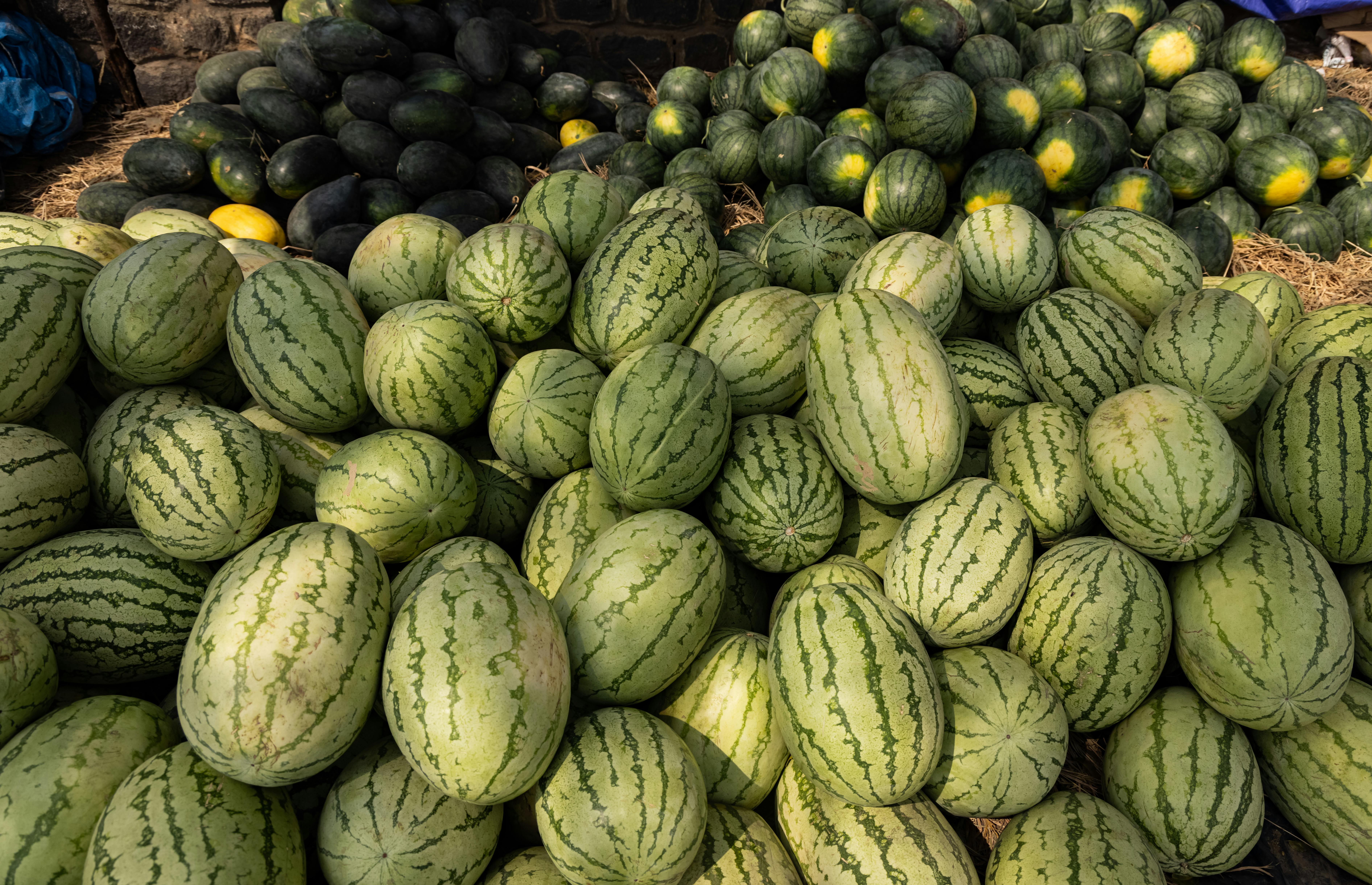 Watermelons on Market · Free Stock Photo