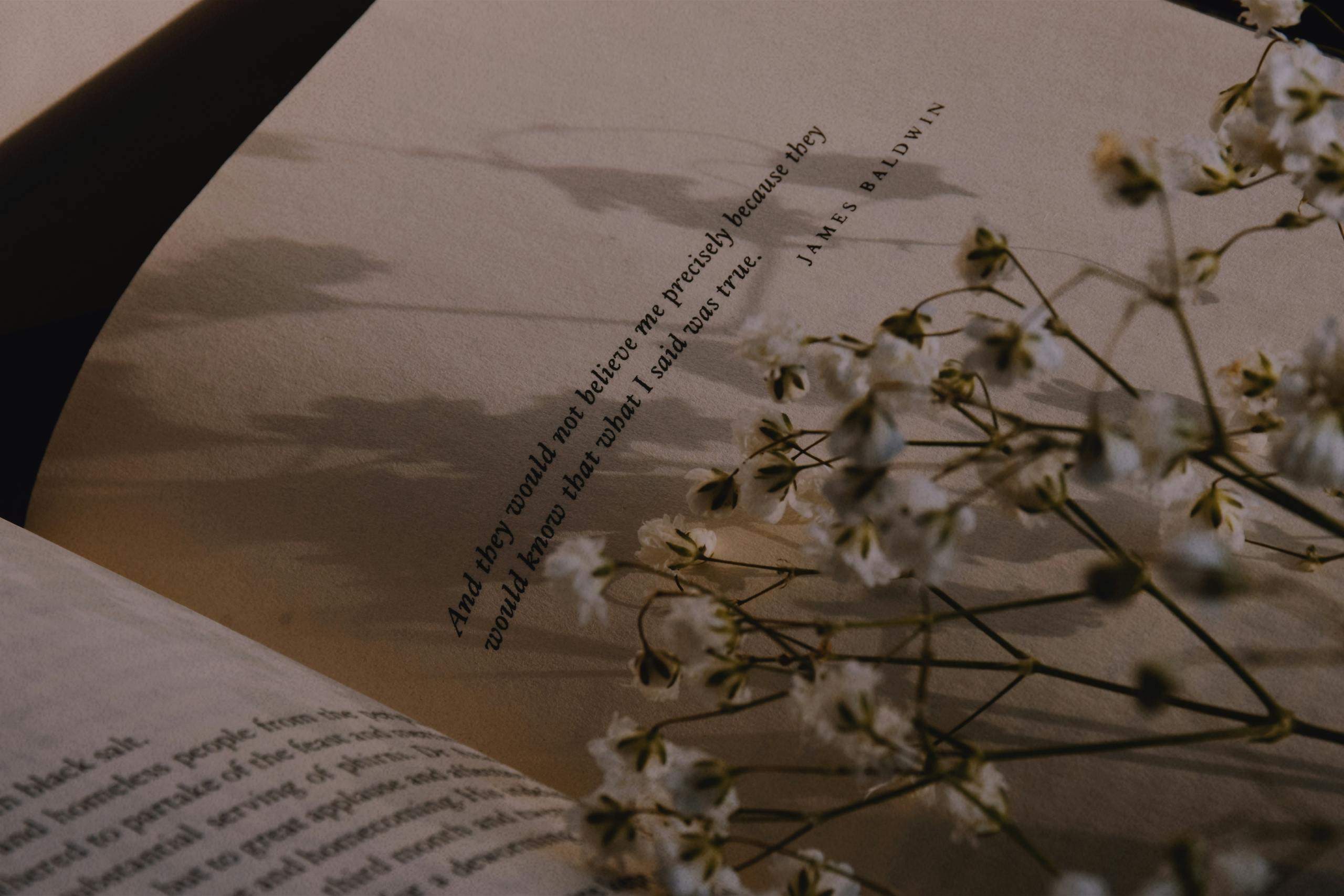 Thin Flowers over Book Pages · Free Stock Photo