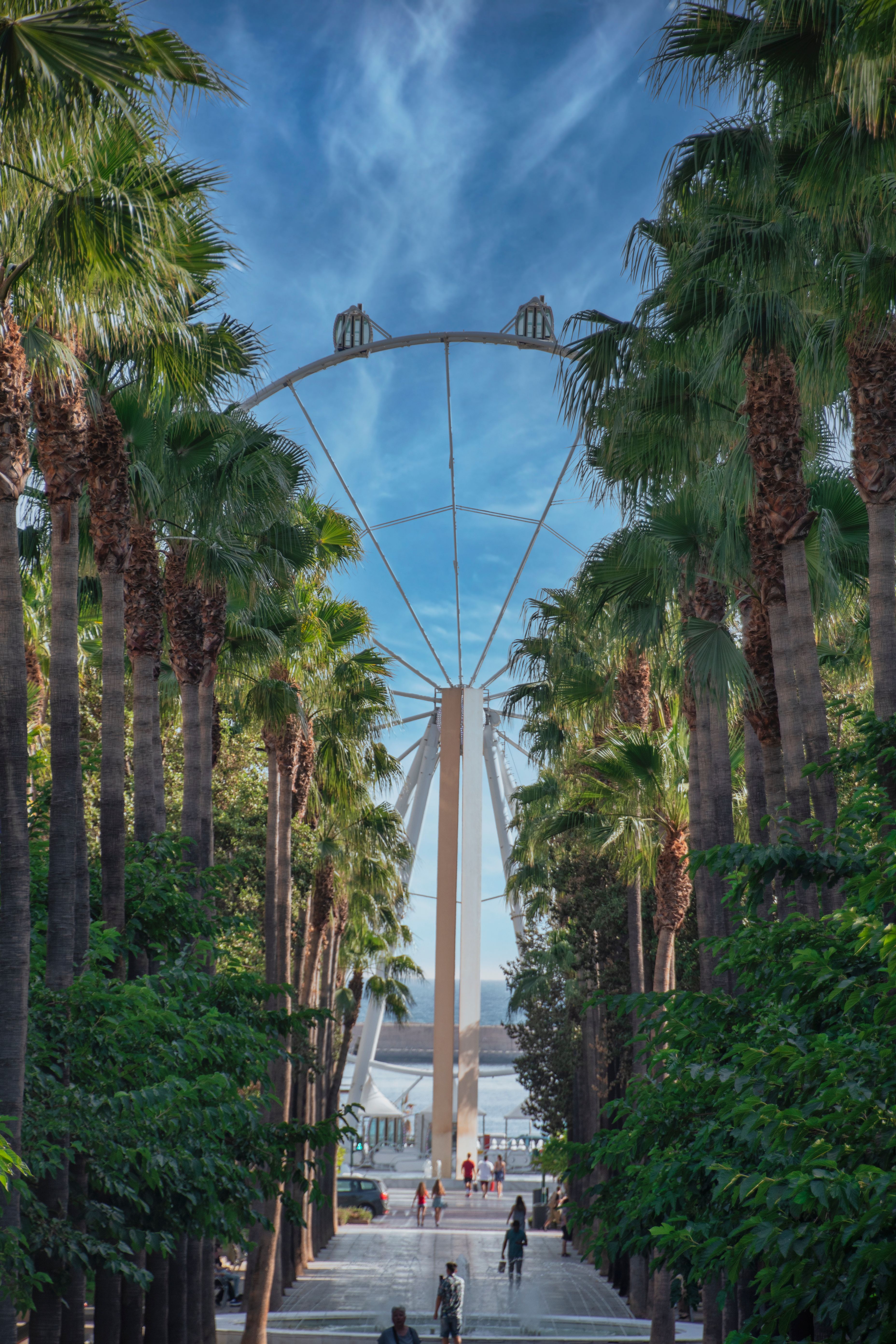 Walkway between Palm Trees and a Ferris Wheel · Free Stock Photo