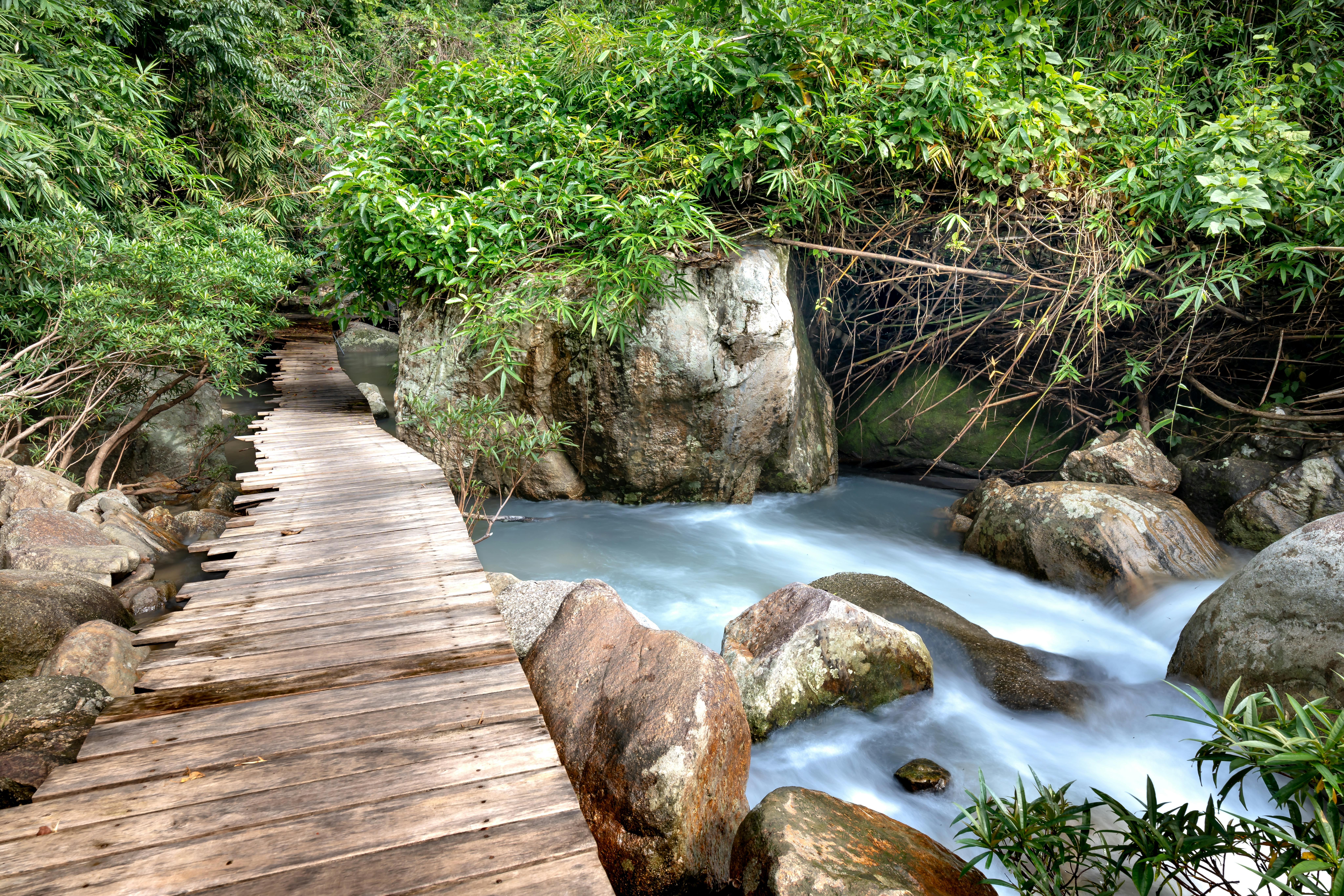 Wooden Footbridge over Stream · Free Stock Photo