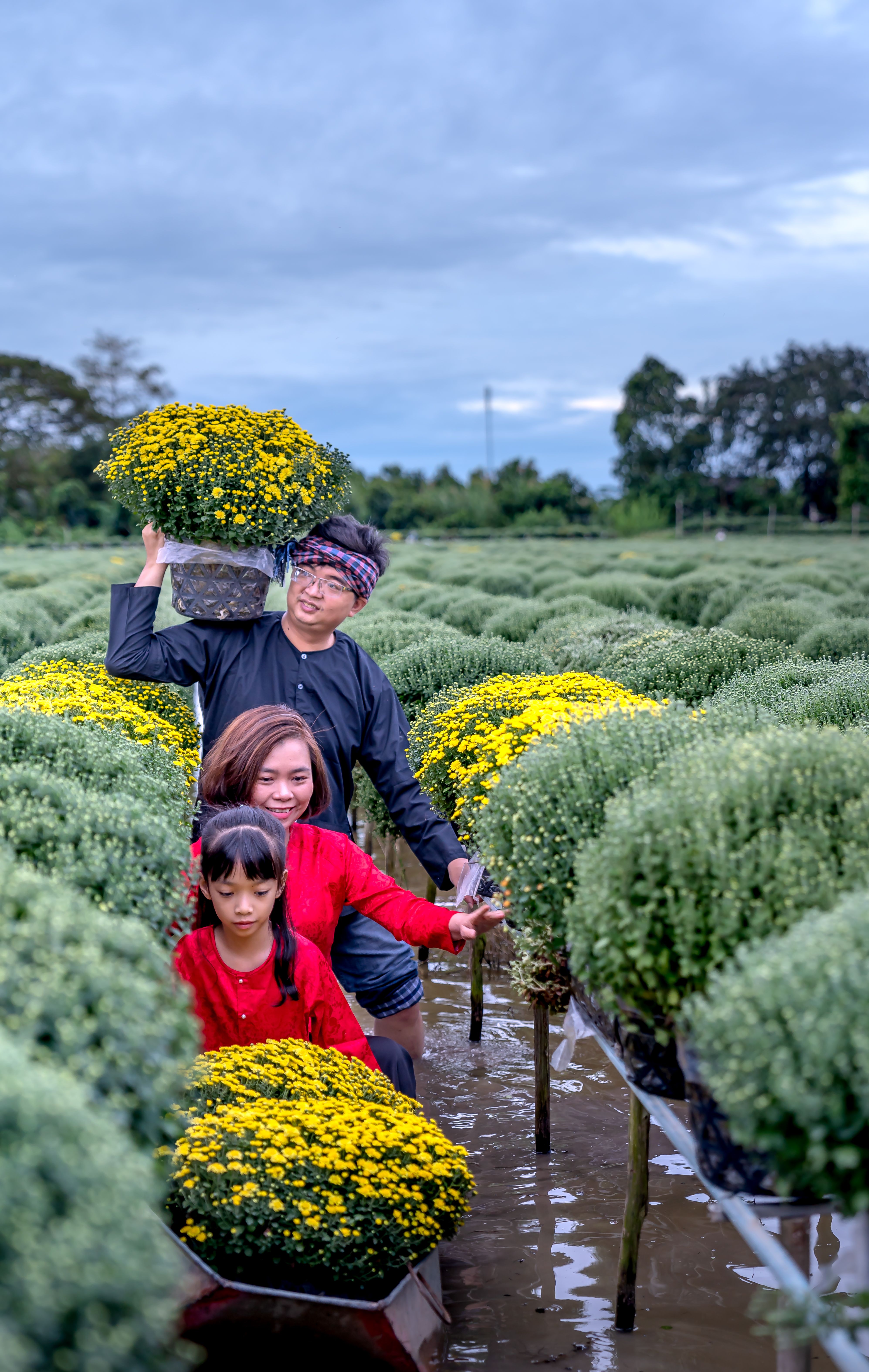 Flower Pickers Photos, Download The BEST Free Flower Pickers Stock ...