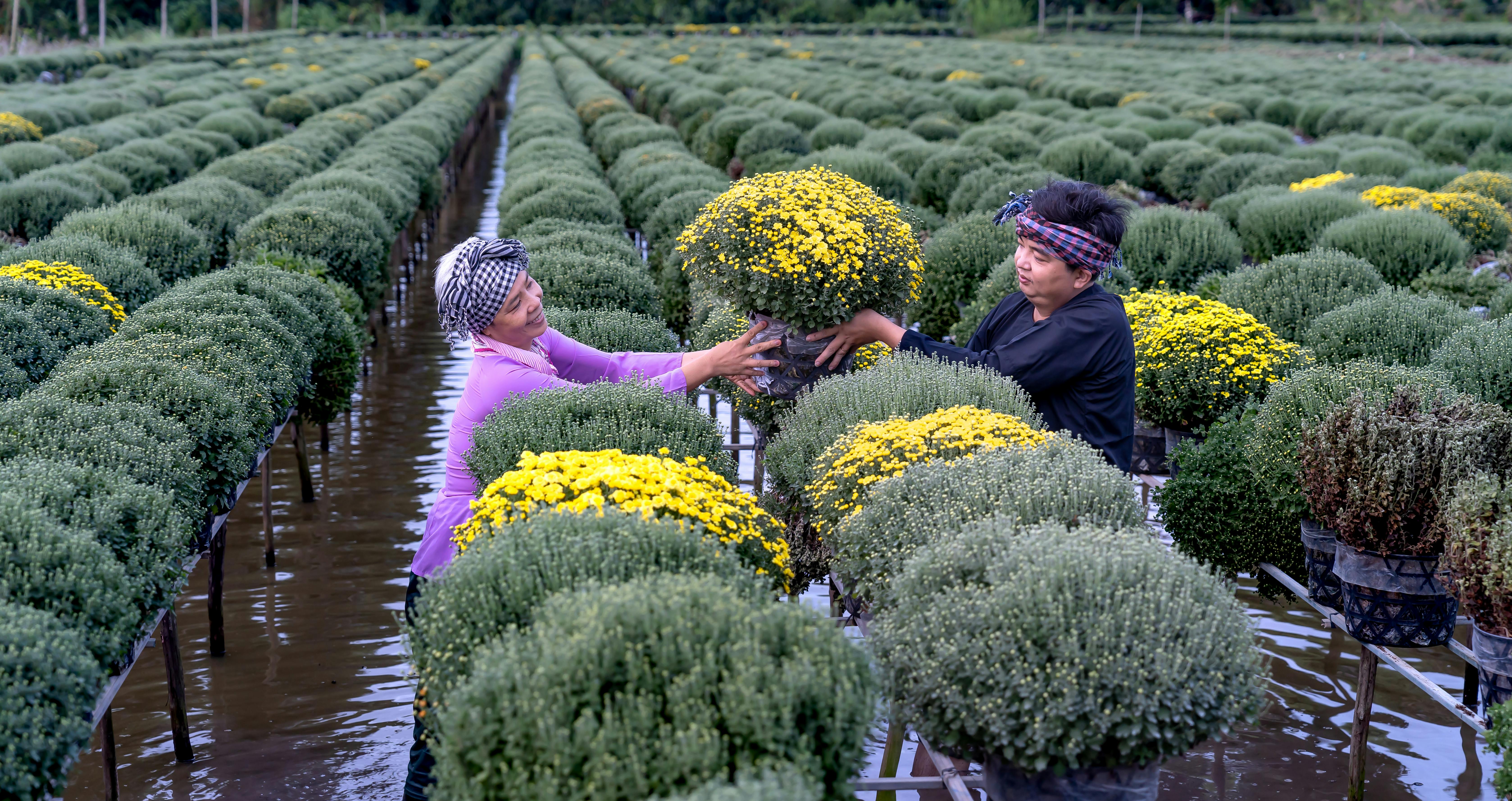 Two Women Collecting Flowers in a Field · Free Stock Photo