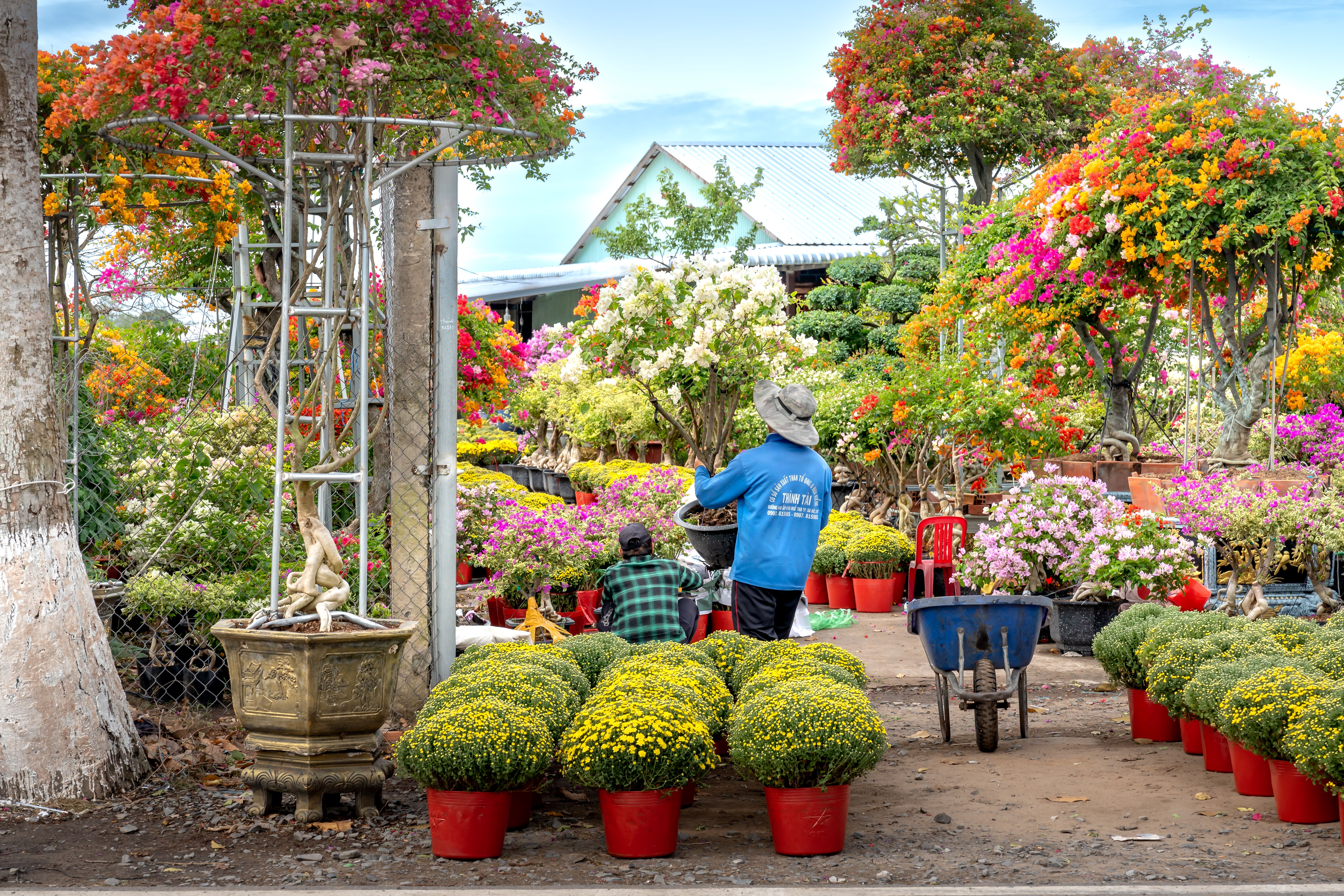 Gardeners Working in Colorful Garden · Free Stock Photo