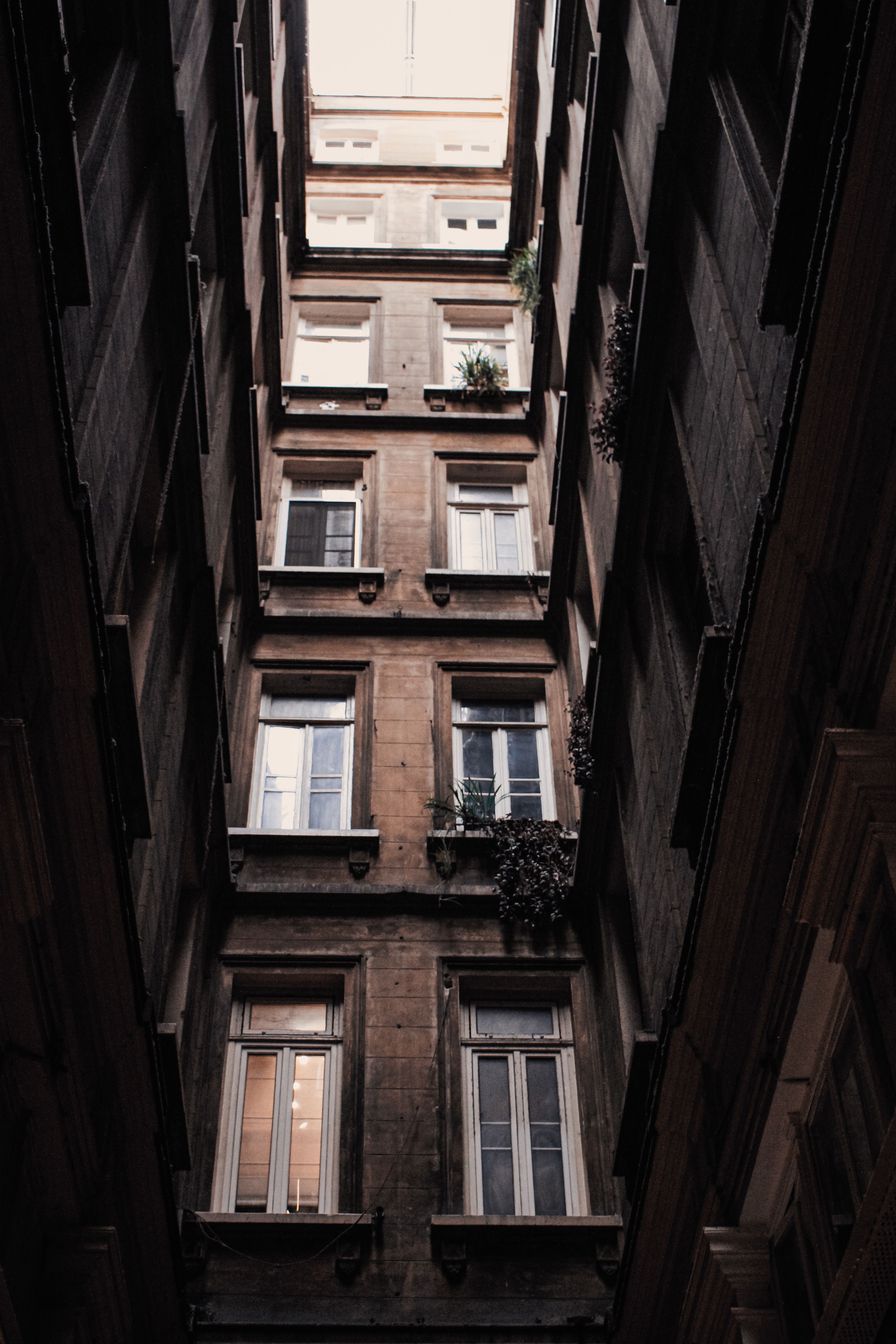 Windows on Buildings Wall · Free Stock Photo