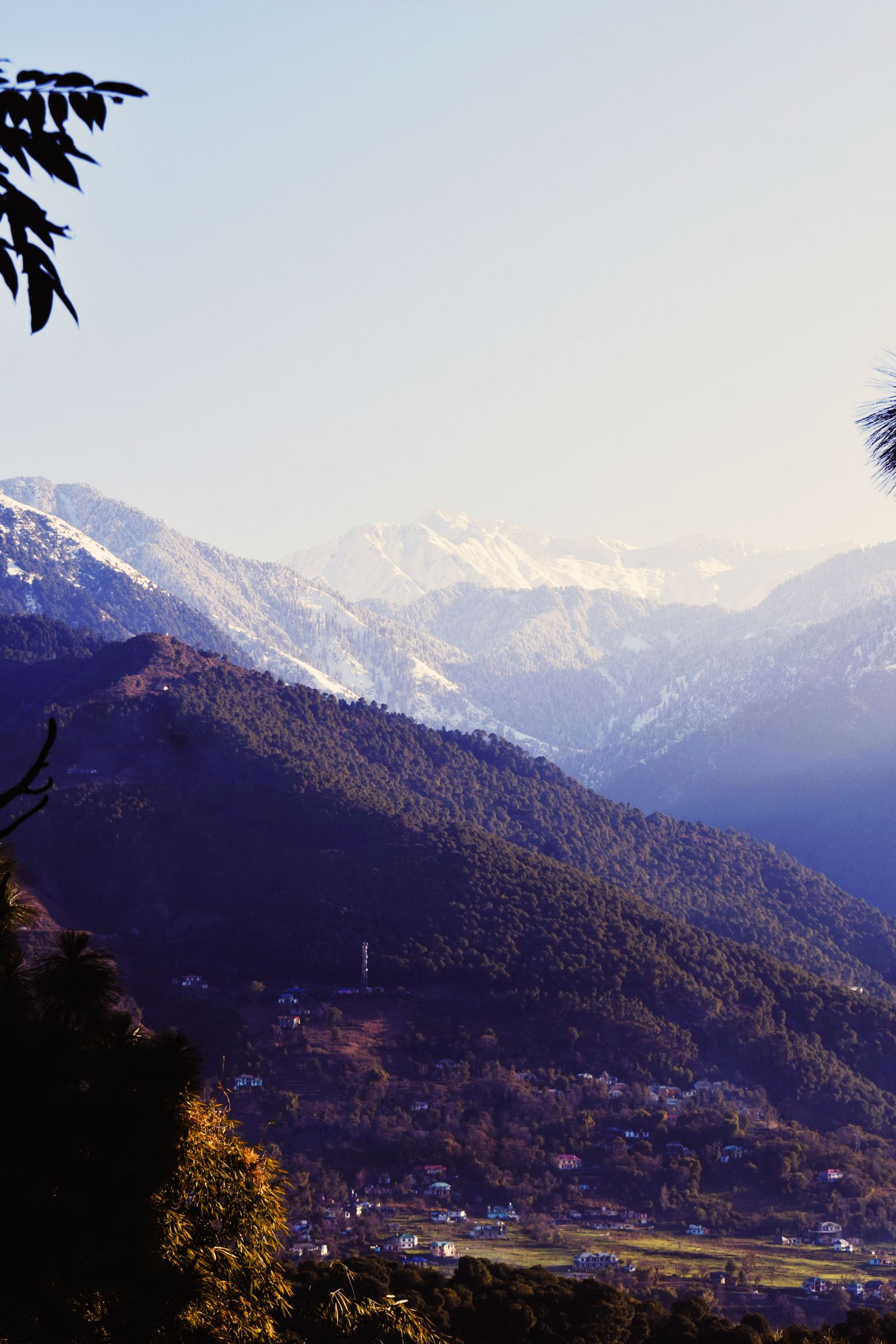 Free Pix Photos, Download The BEST Free Free Pix Stock Photos & HD Images