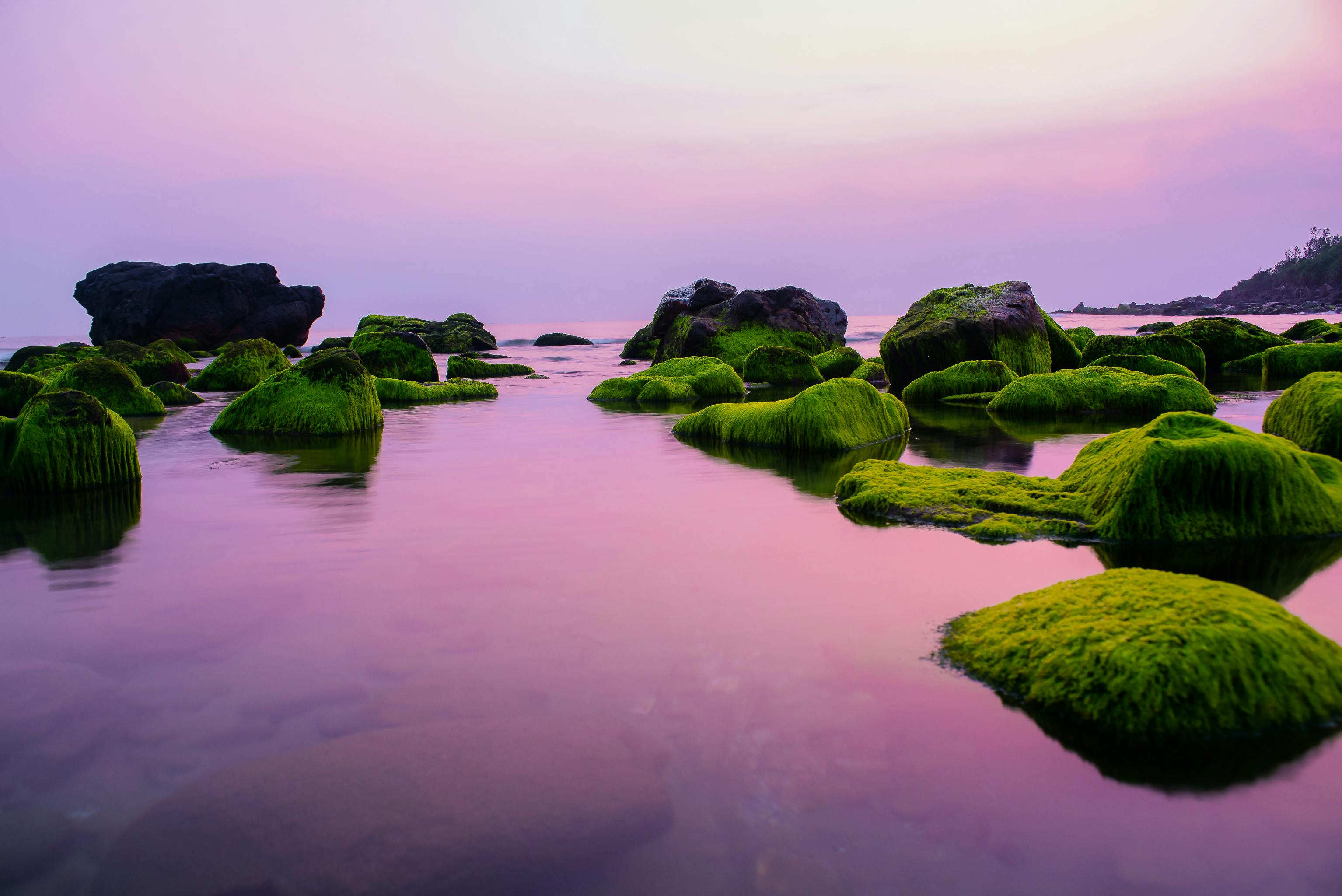 Rocks Covered in Moss in the Sea at Dusk · Free Stock Photo