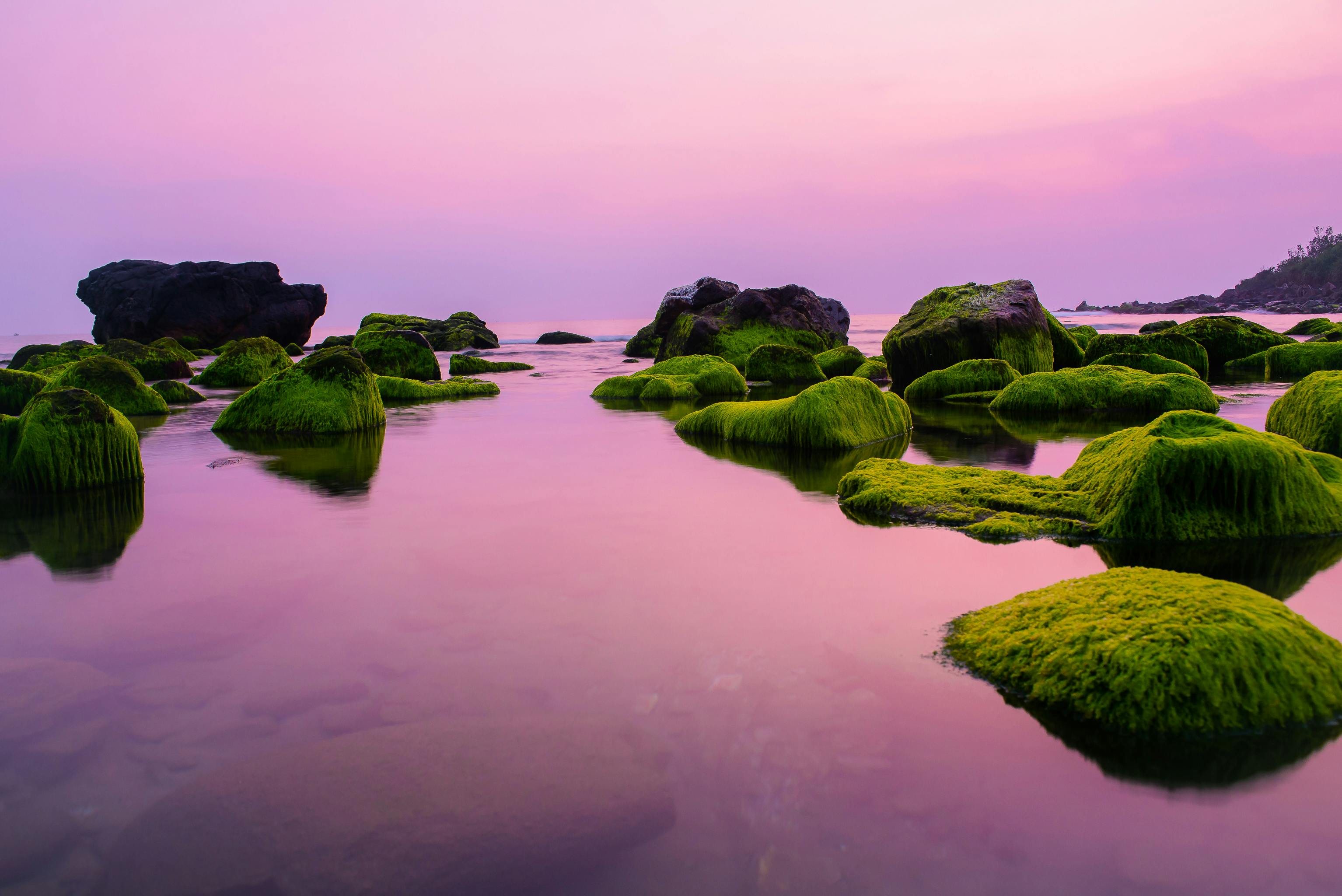 User Management Wallpaper Photos, Download The BEST Free User ...