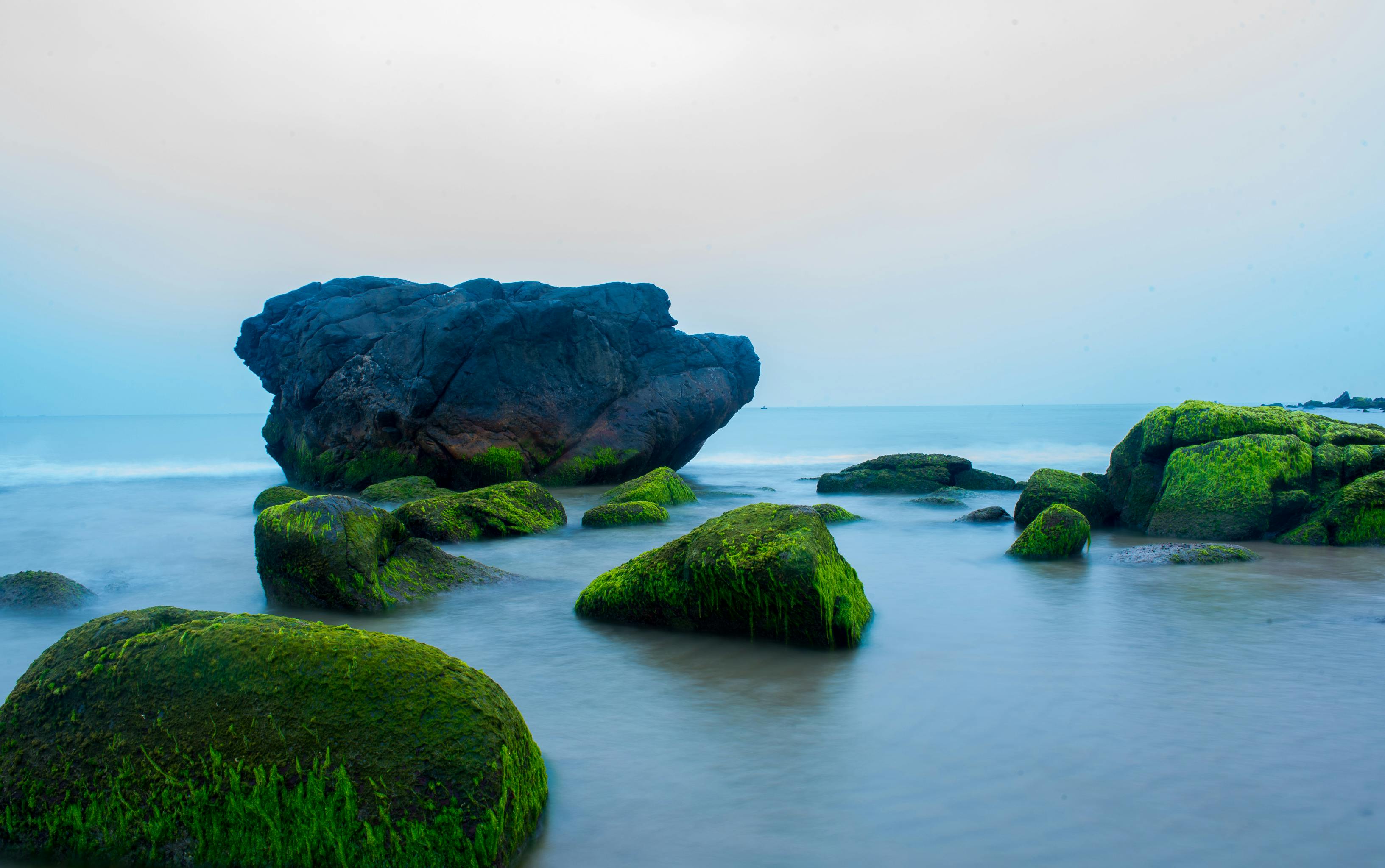 Scenic View of Rocks Covered in Moss in the Sea · Free Stock Photo