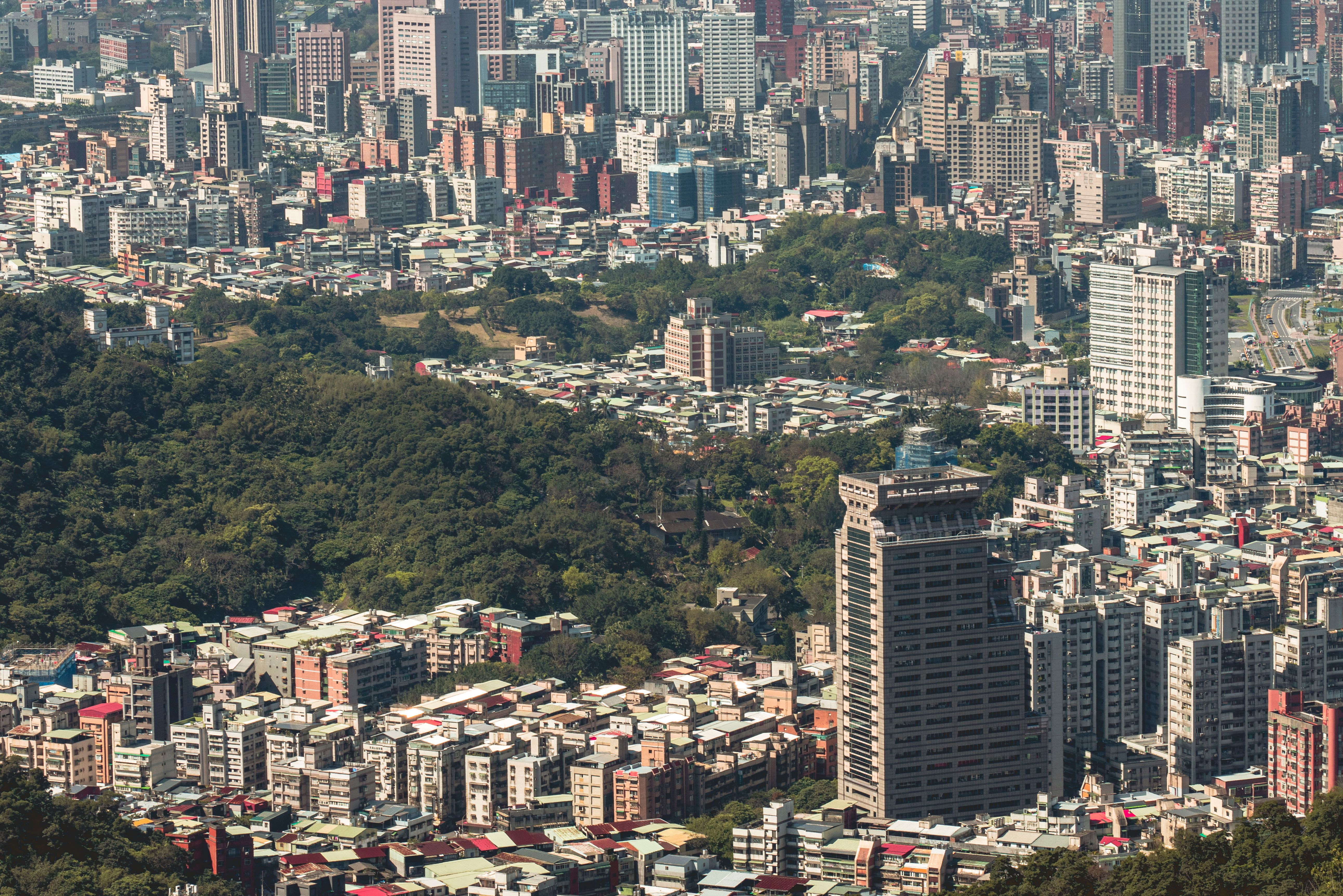 Forest in Sunlit City · Free Stock Photo