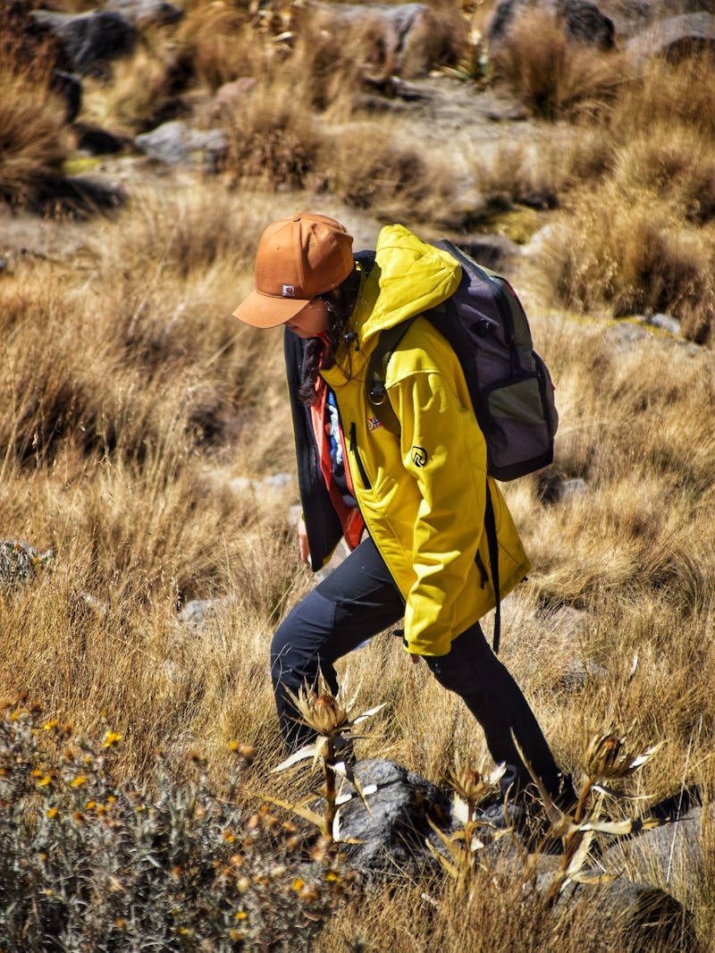 Man In Nature Photos, Download The BEST Free Man In Nature Stock Photos ...