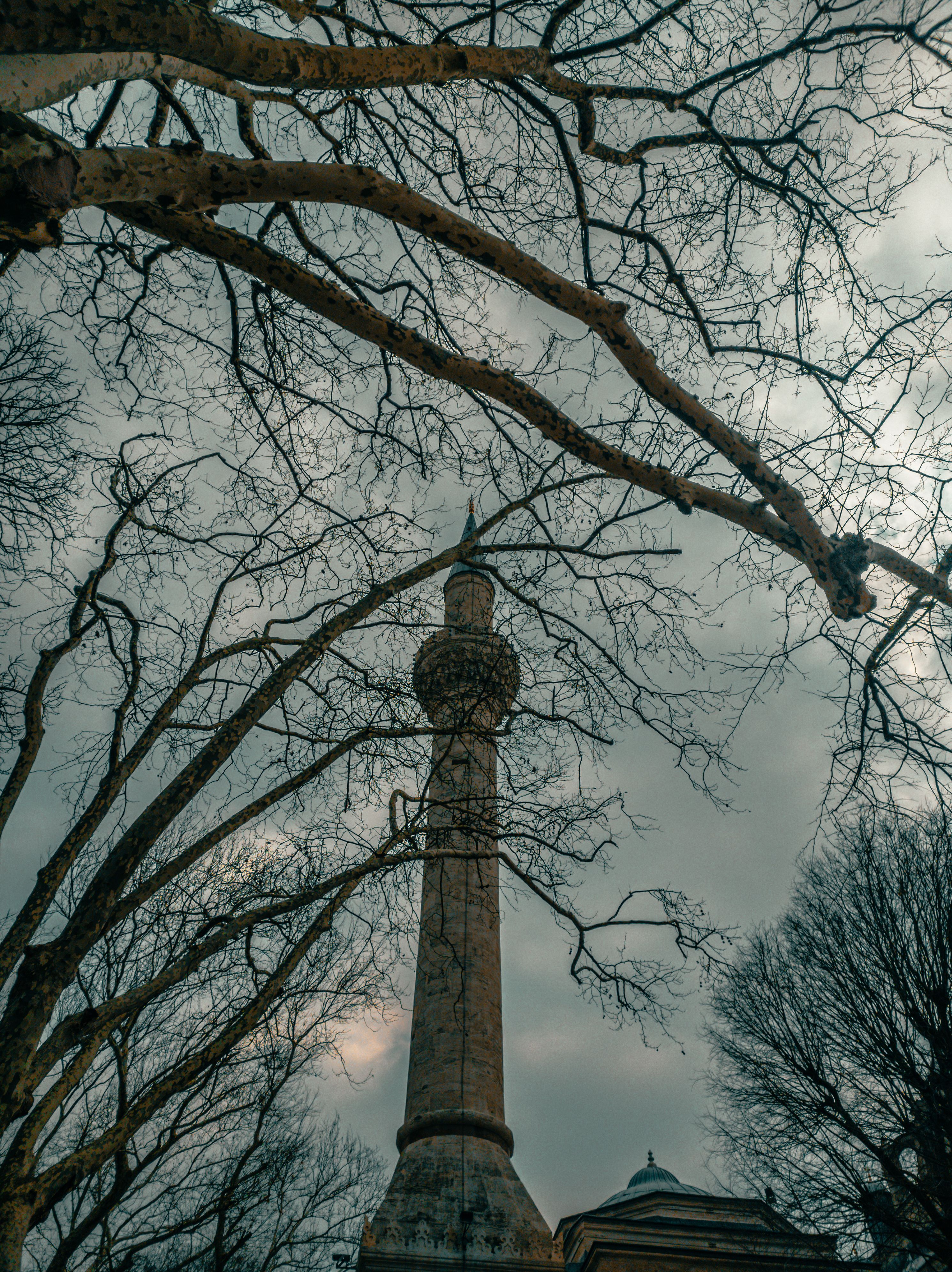 A tall tower with trees in the background · Free Stock Photo