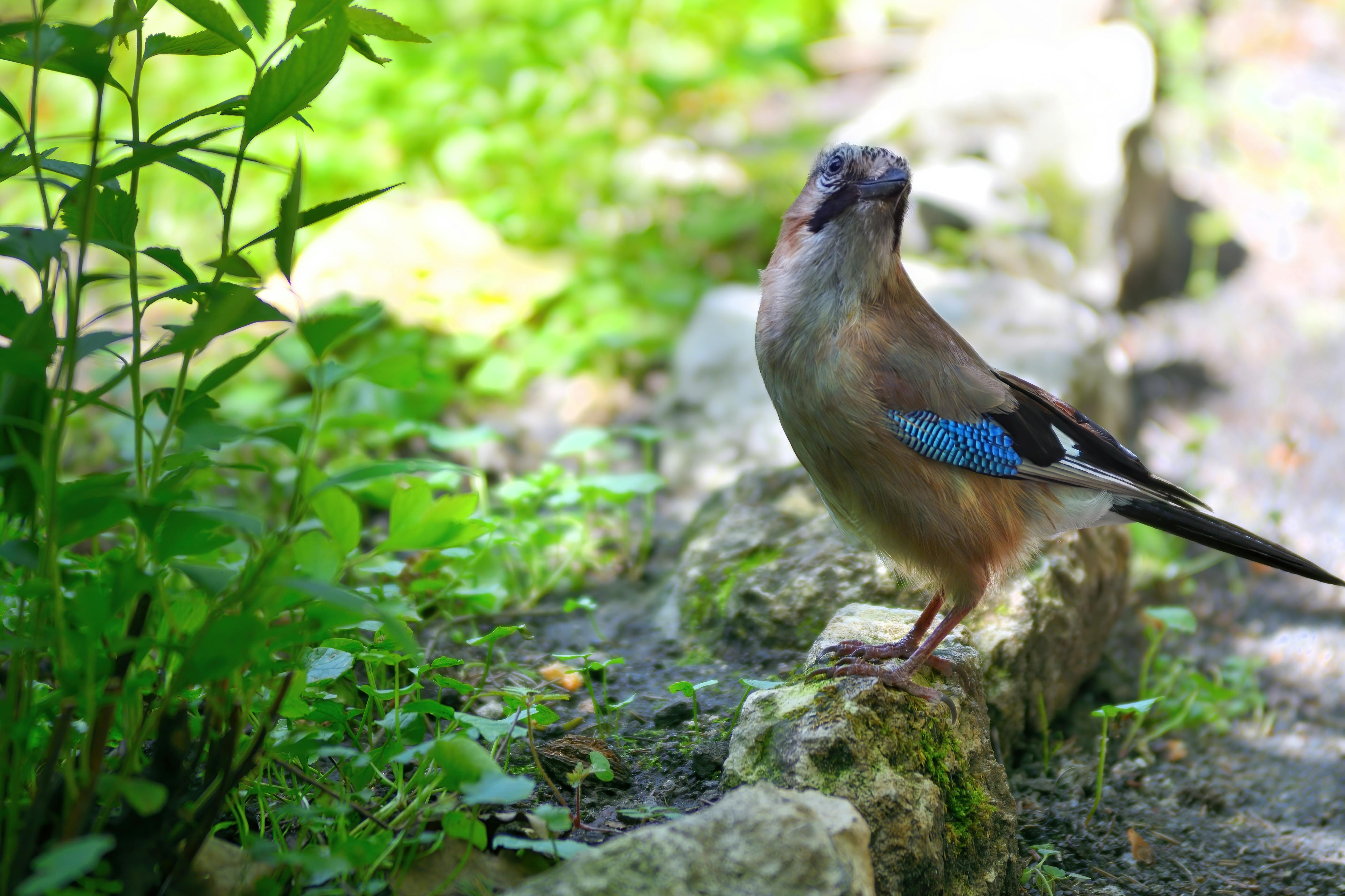 Mmnnnm 2 Photos & Videos Collected by Mulki