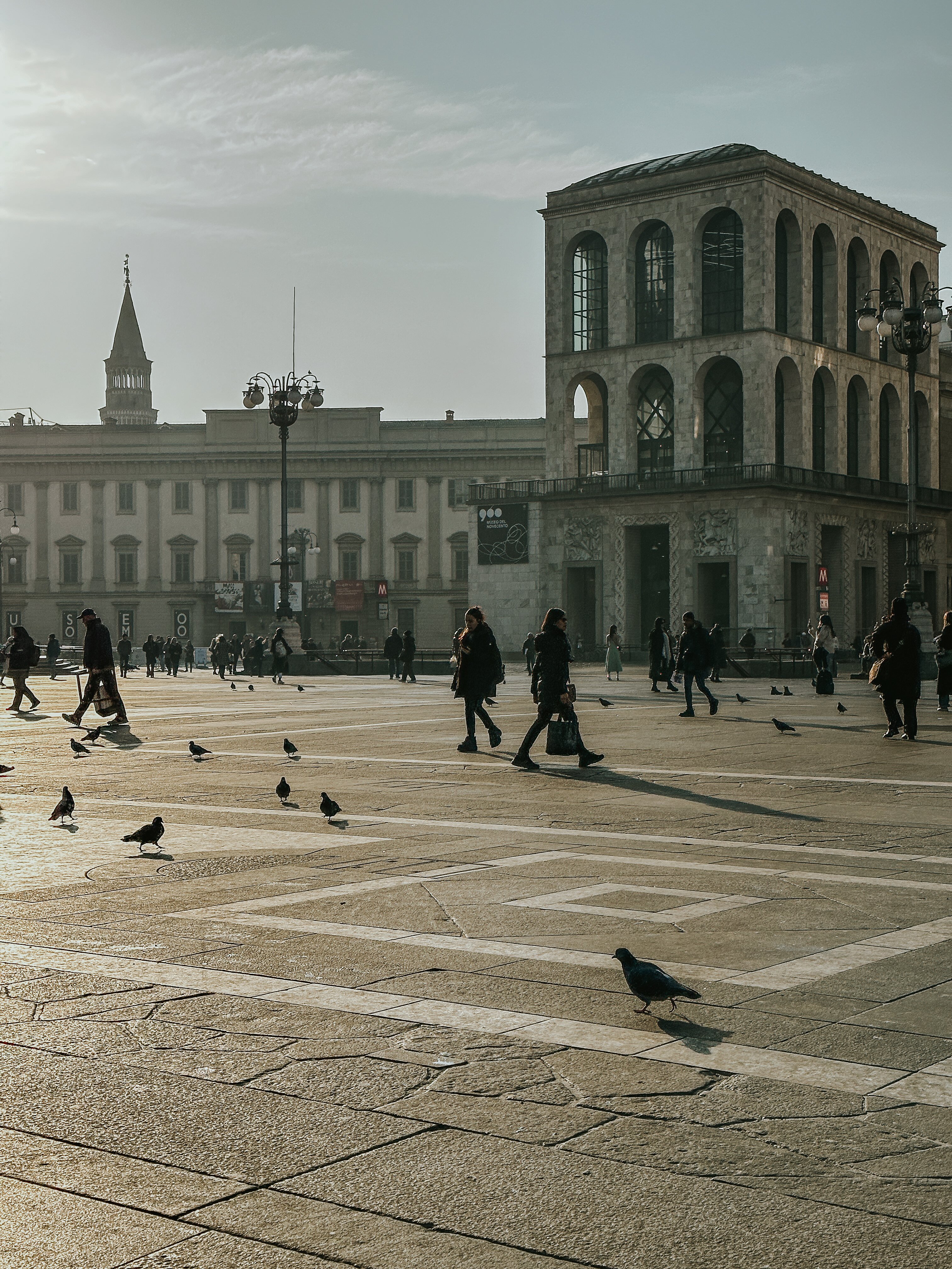 A group of people walking in a square with pigeons · Free Stock Photo