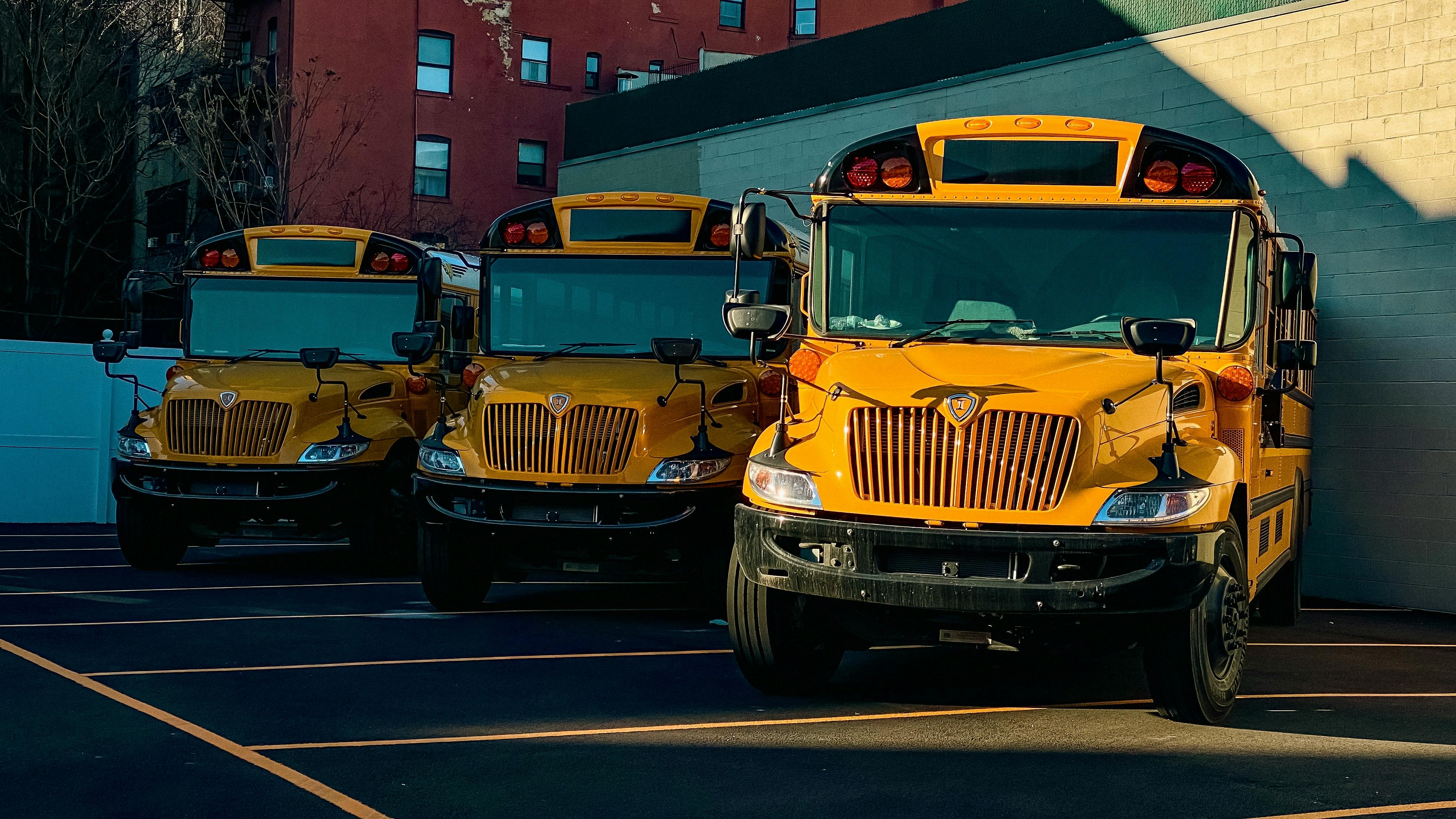 School Bus Driver Photos, Download The BEST Free School Bus Driver ...