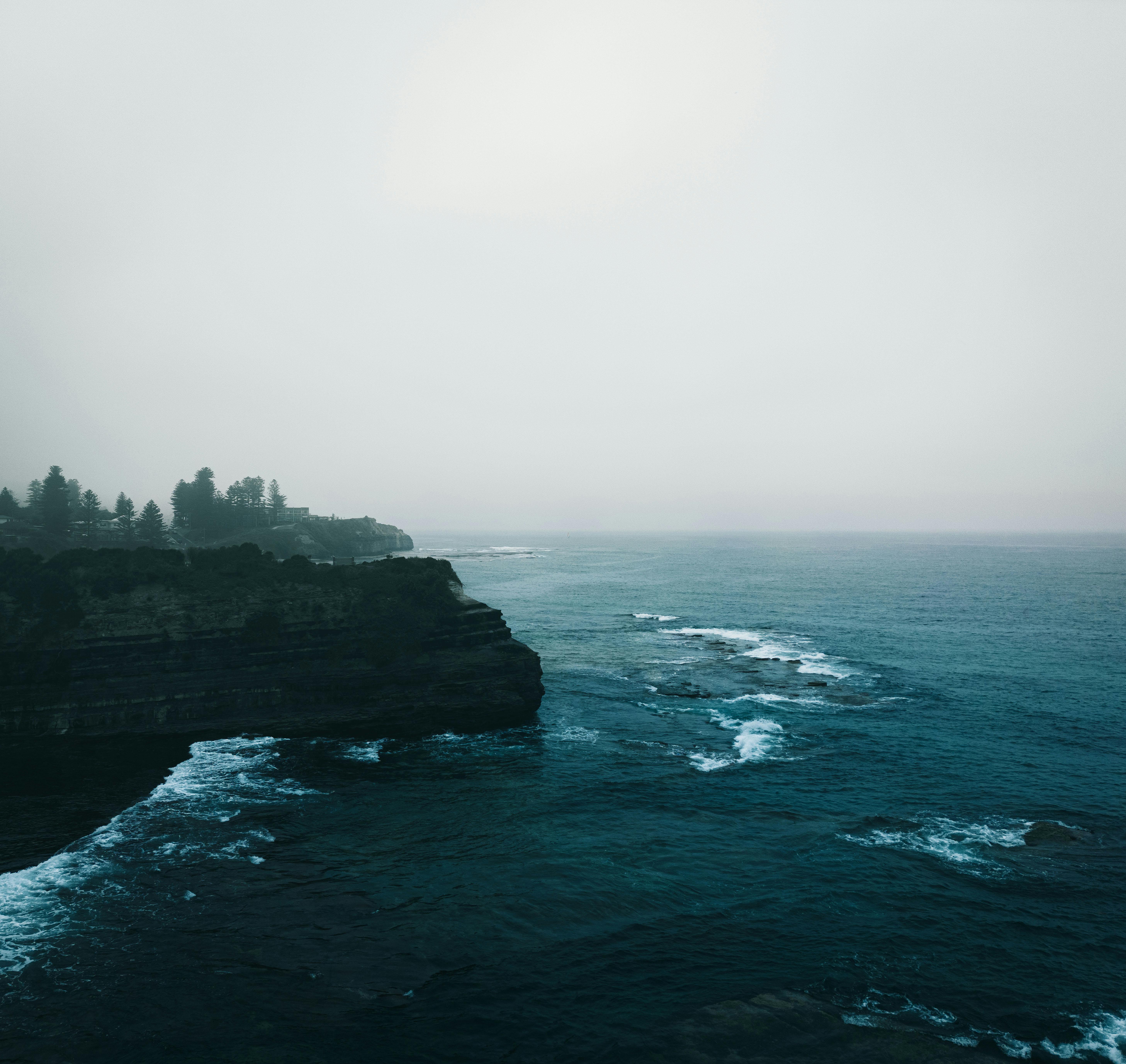 Fog over Sea Shore · Free Stock Photo