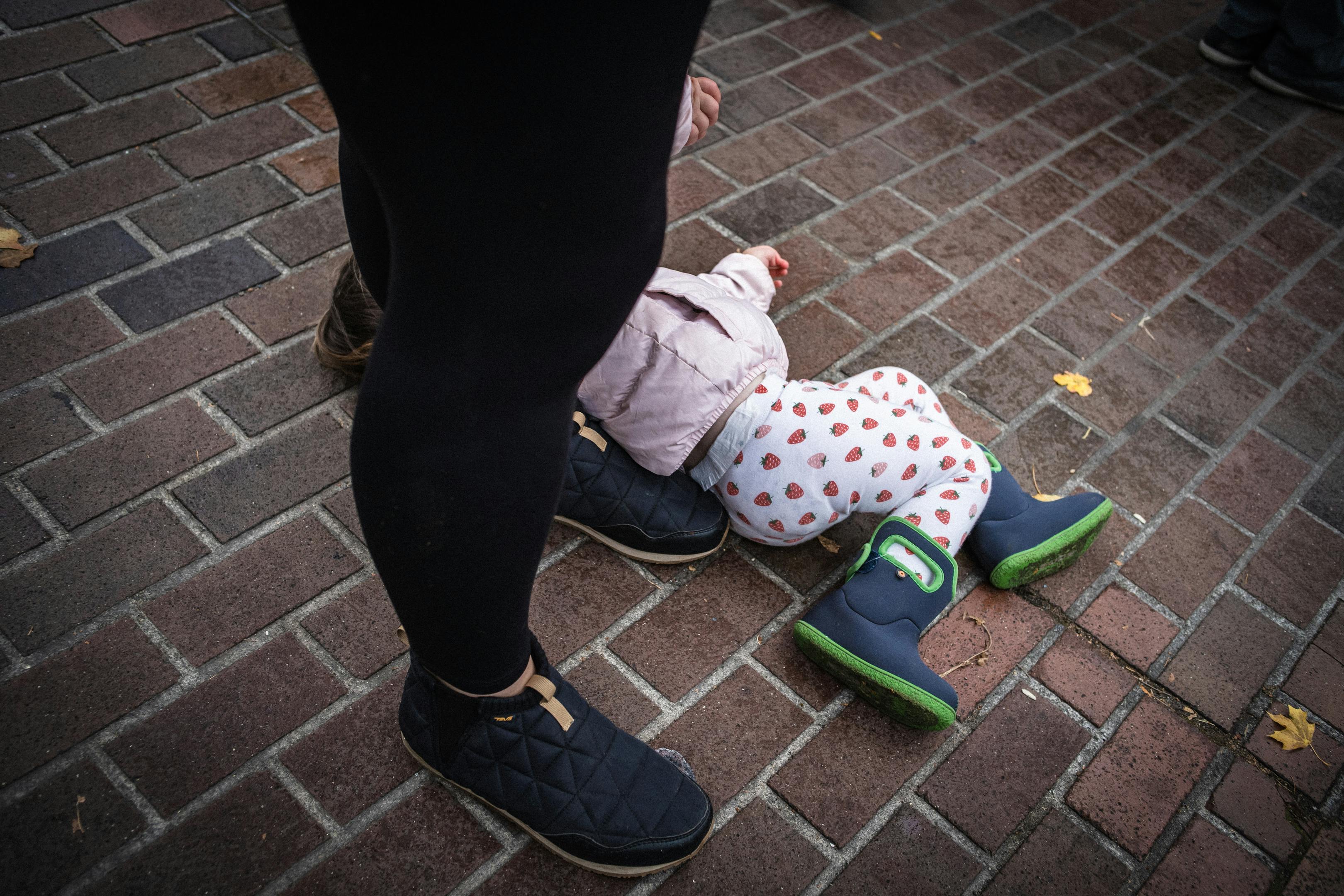 Cacti against a Cloudy Sky · Free Stock Photo