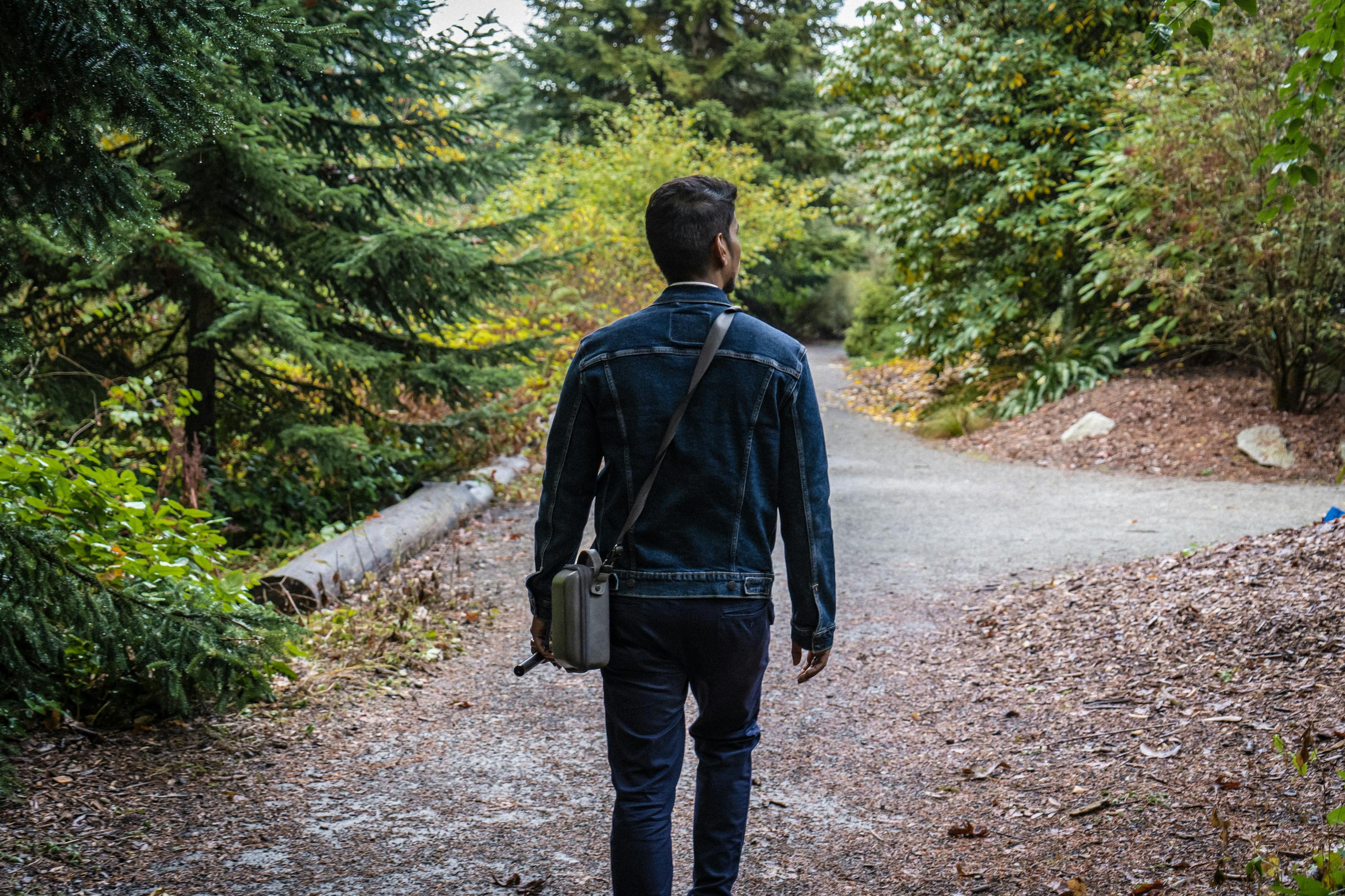 Woman Walking among Trees · Free Stock Photo