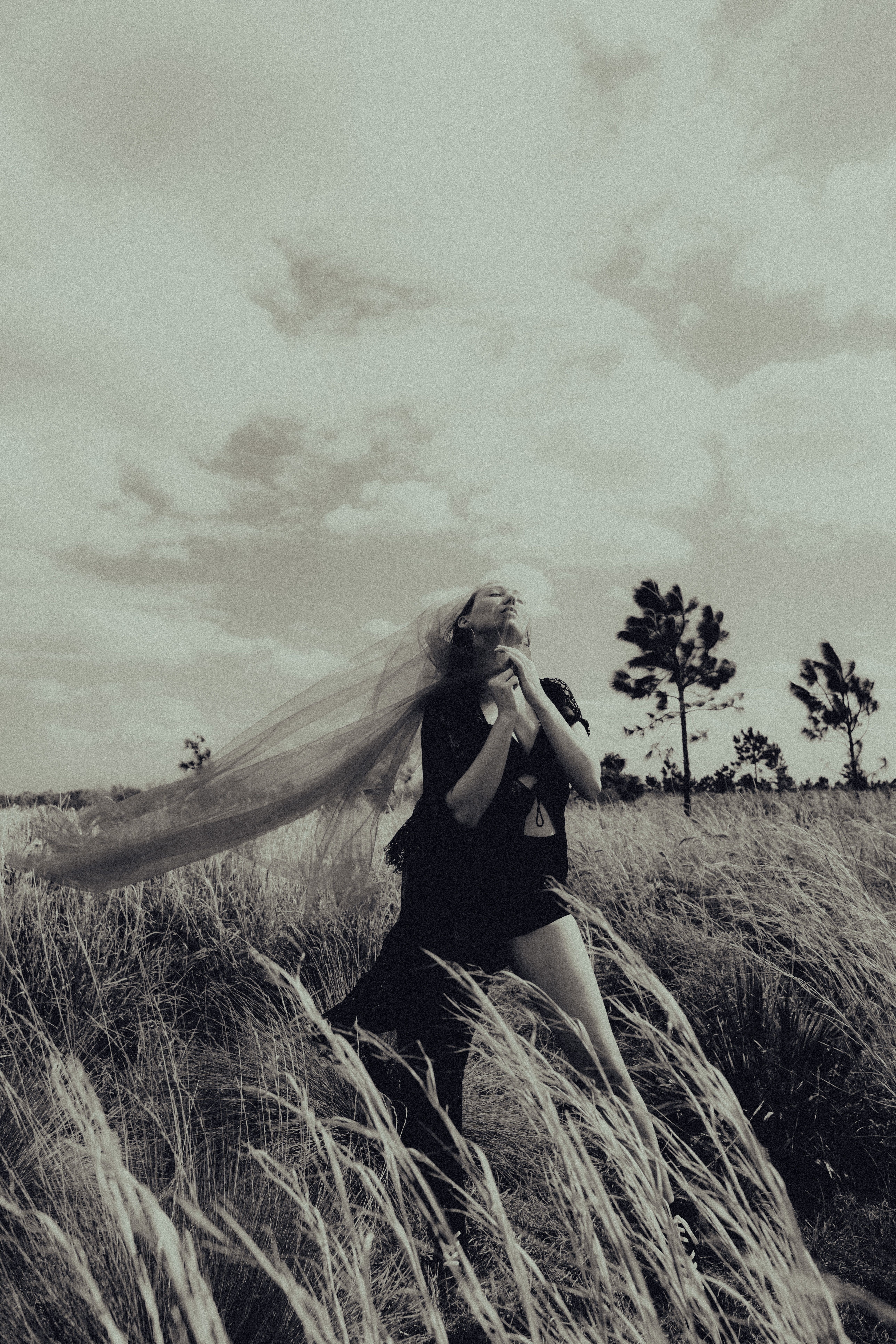 Woman Wearing Veil on a Field in Black and White · Free Stock Photo
