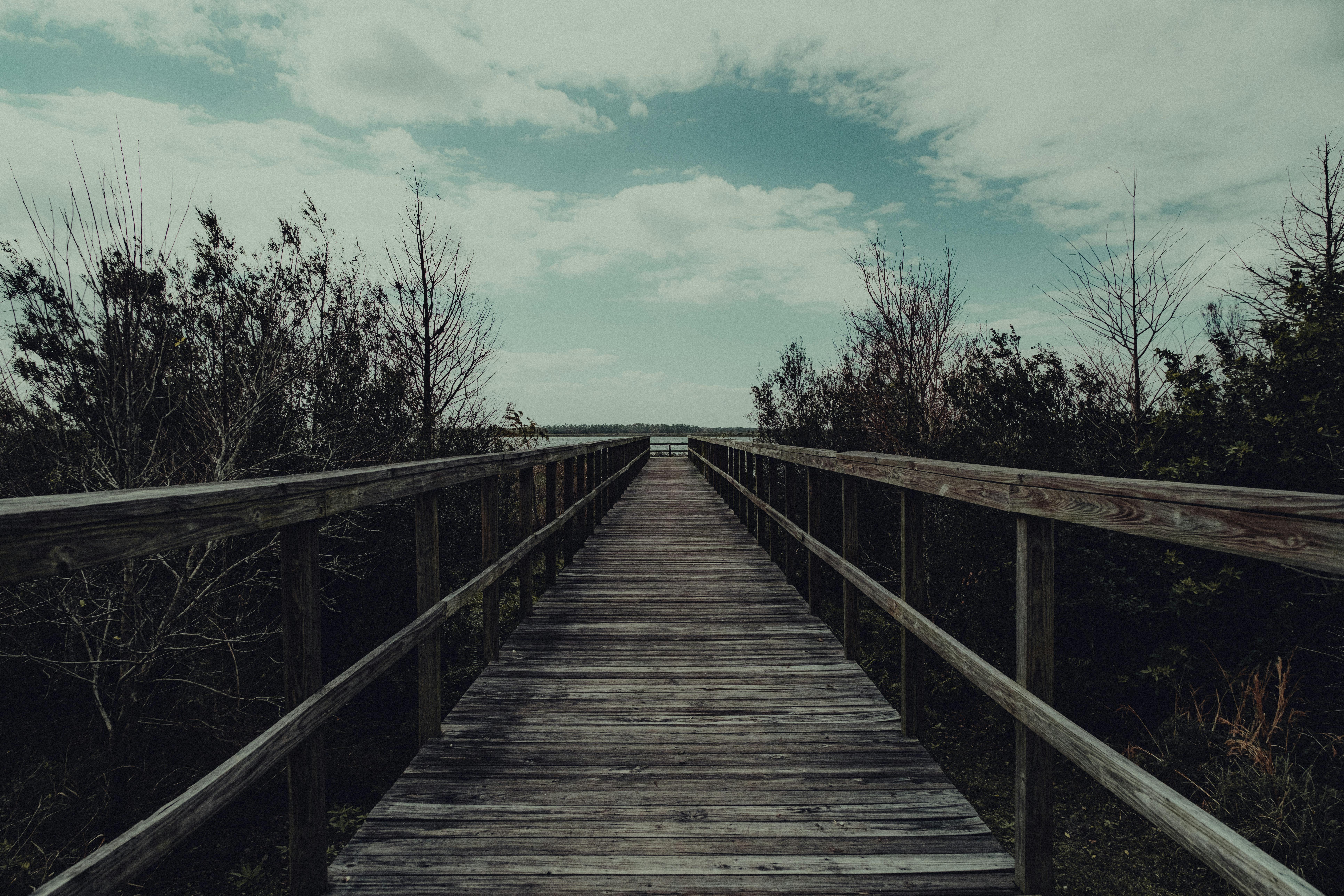 Long Wooden Bridge · Free Stock Photo