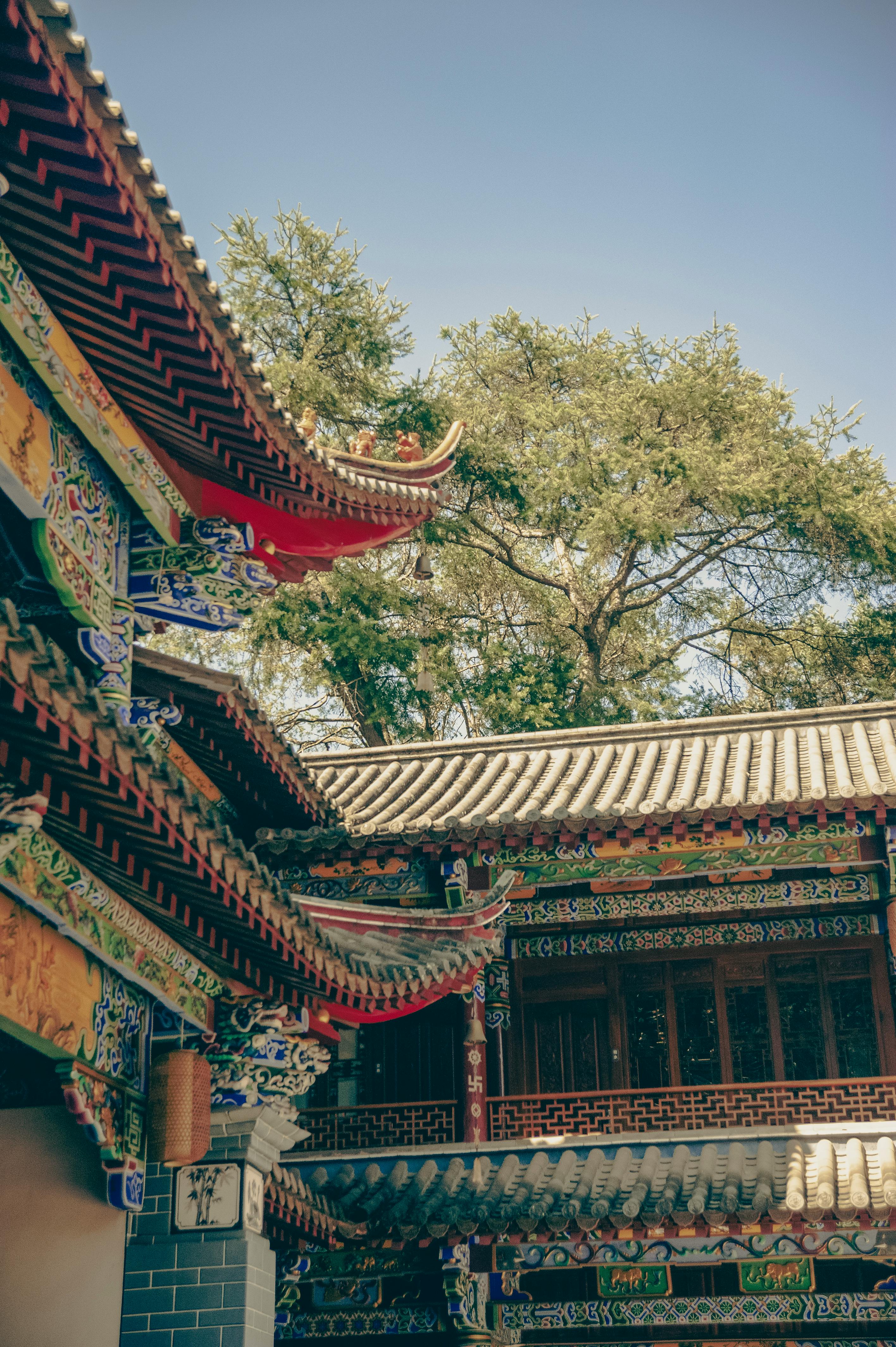 Trees behind Temple Walls · Free Stock Photo