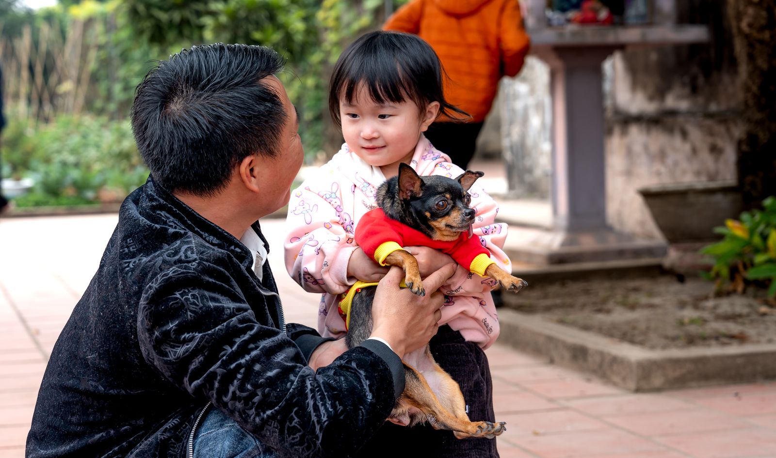 Cute Dog 200x200 Pixcles Photos, Download The BEST Free Cute Dog ...