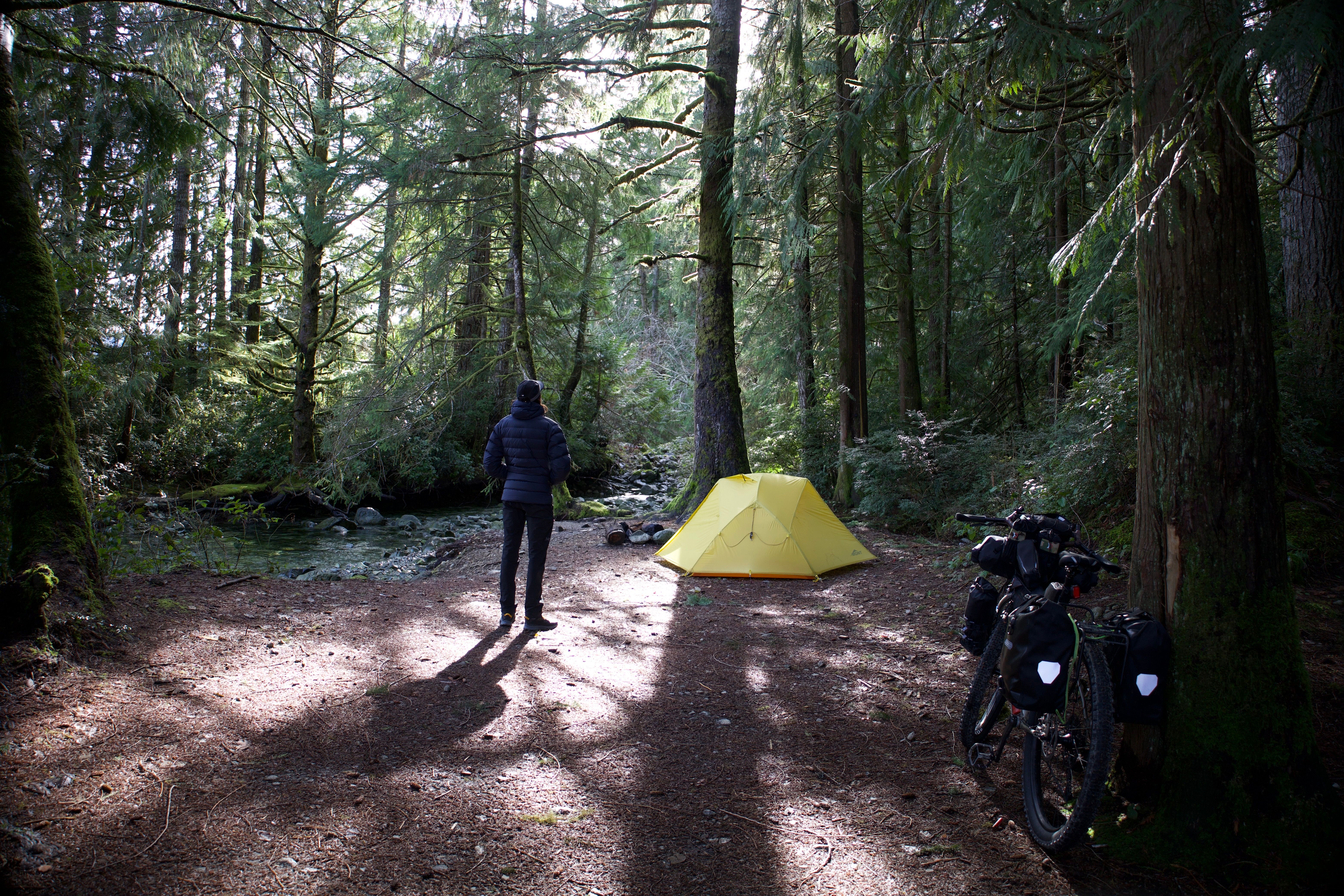 Foto de stock gratuita sobre acampada, arboles, bicicletas, bosque ...