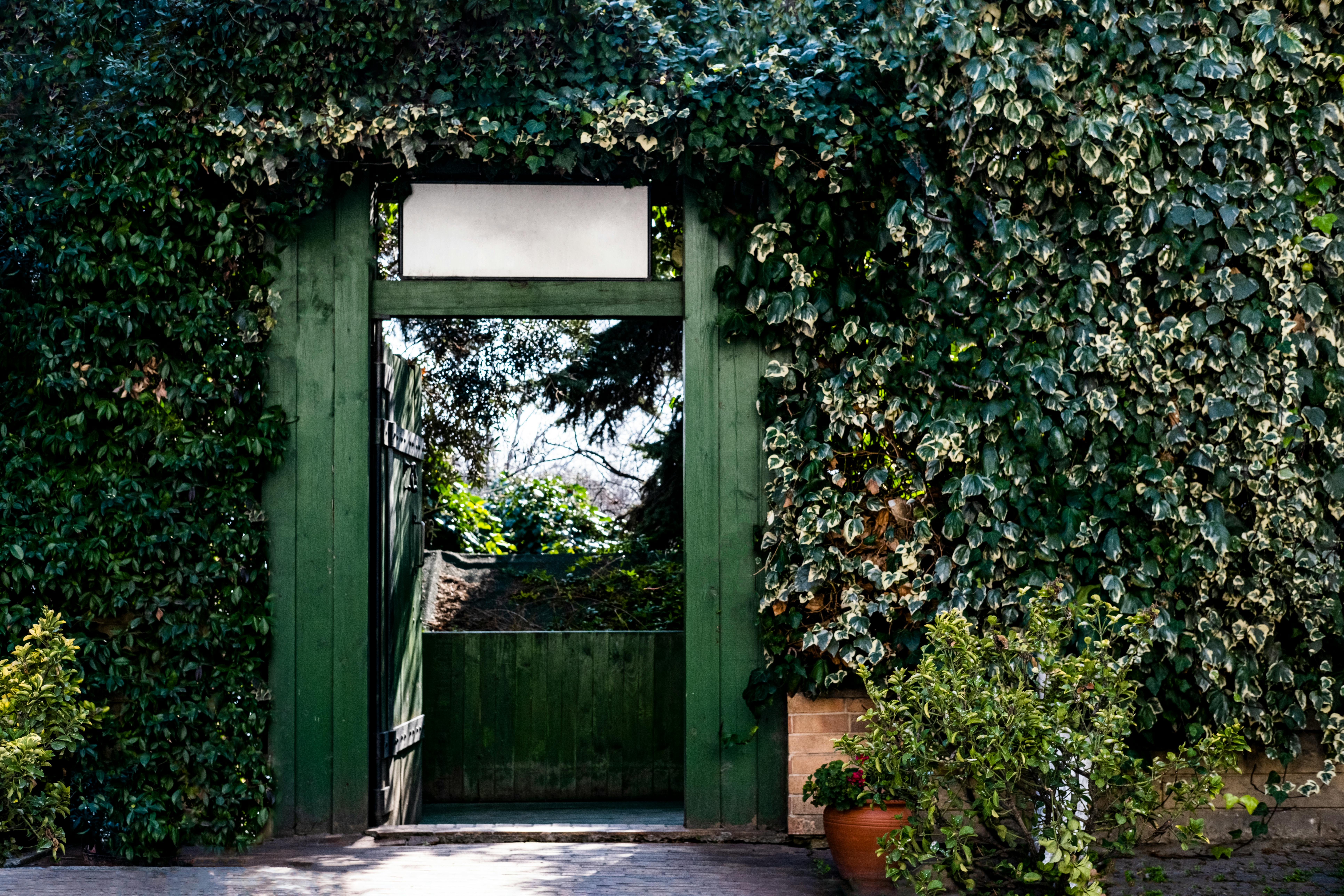 Green Entrance to Garden · Free Stock Photo