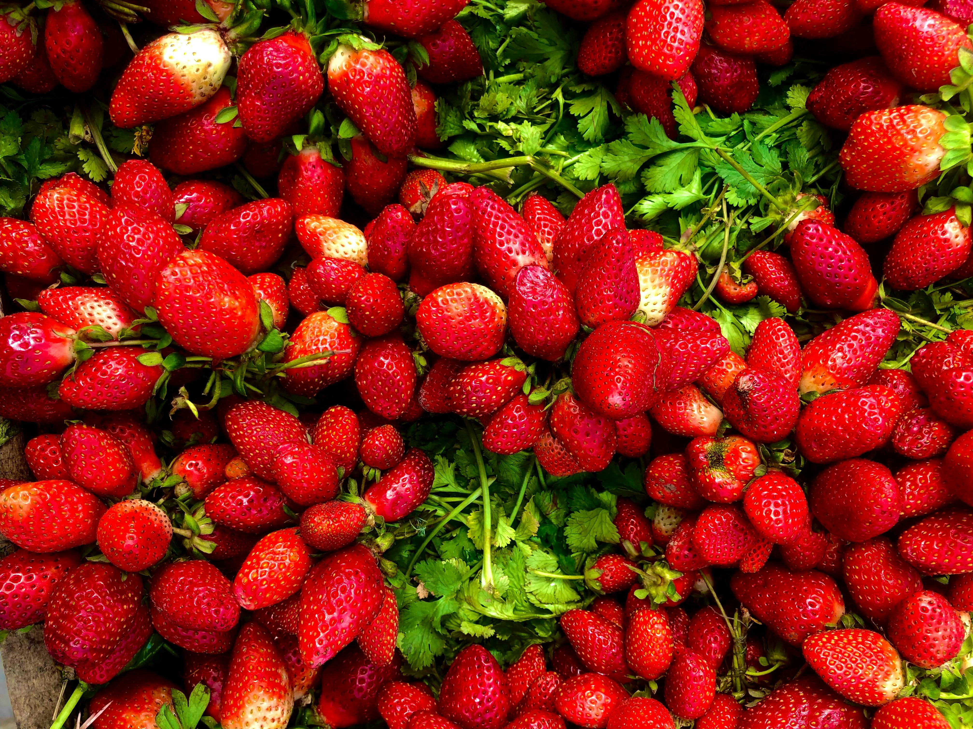 Bundles of Strawberries · Free Stock Photo