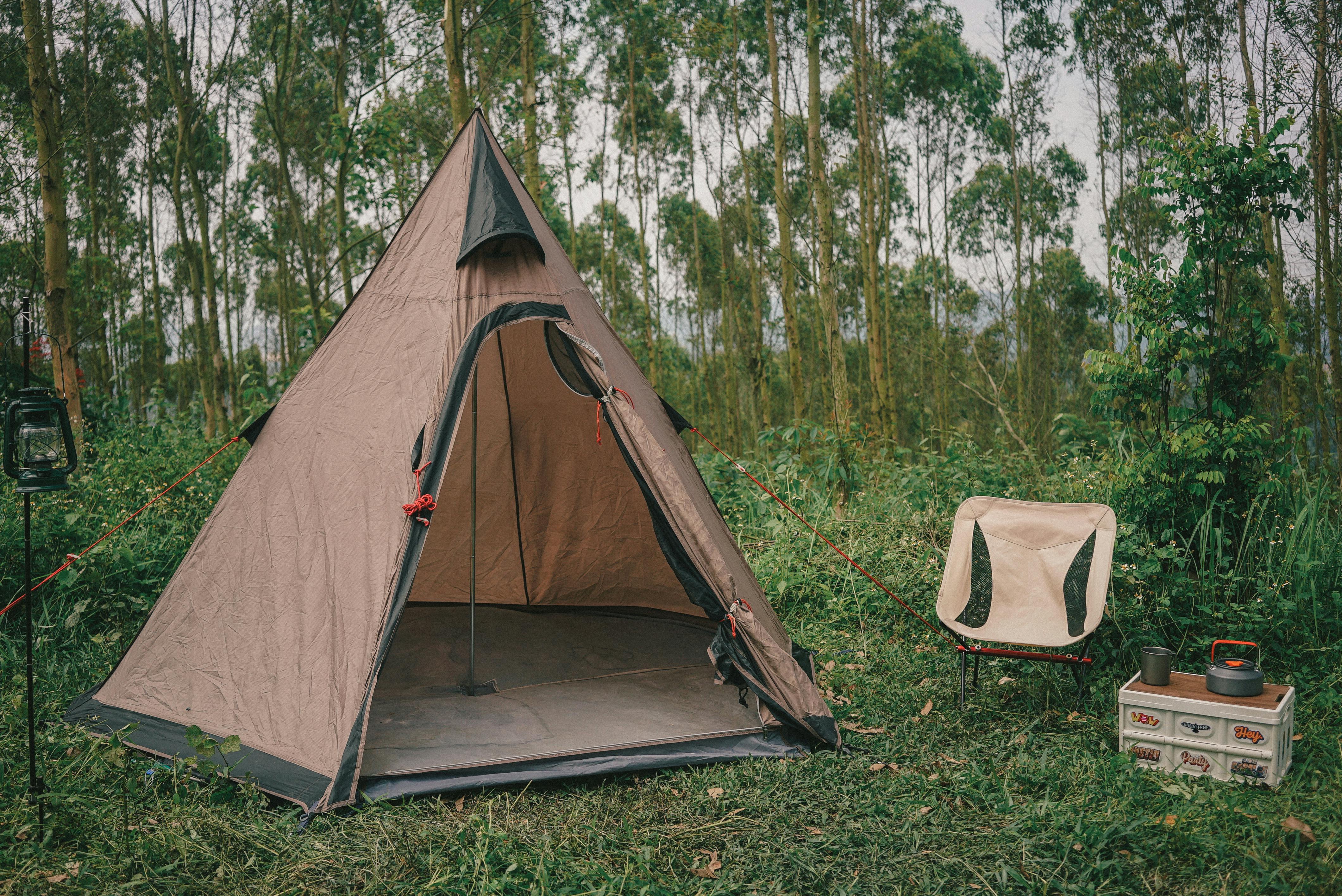 Gray Dome Tent Surrounded by Tall Trees · Free Stock Photo