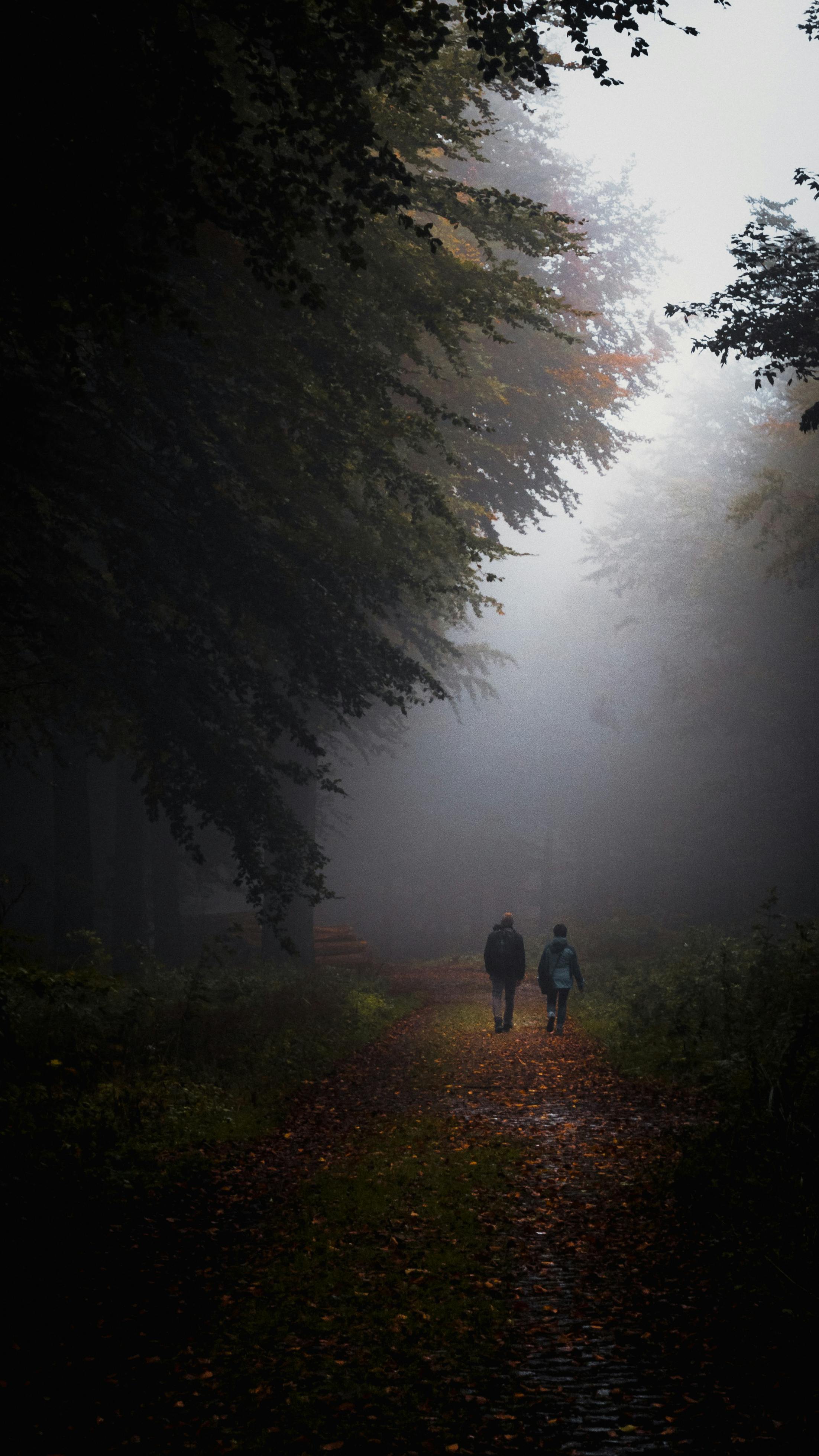 Moritz - Photography