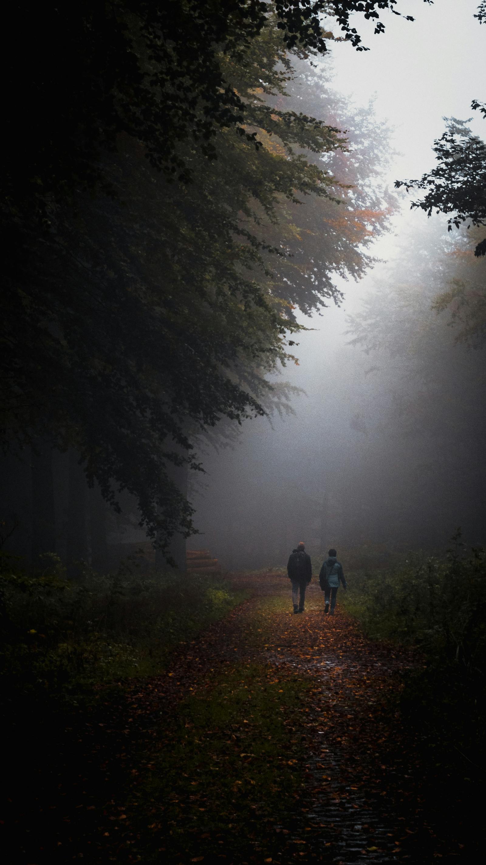 Walk Images Photos, Download The BEST Free Walk Images Stock Photos ...