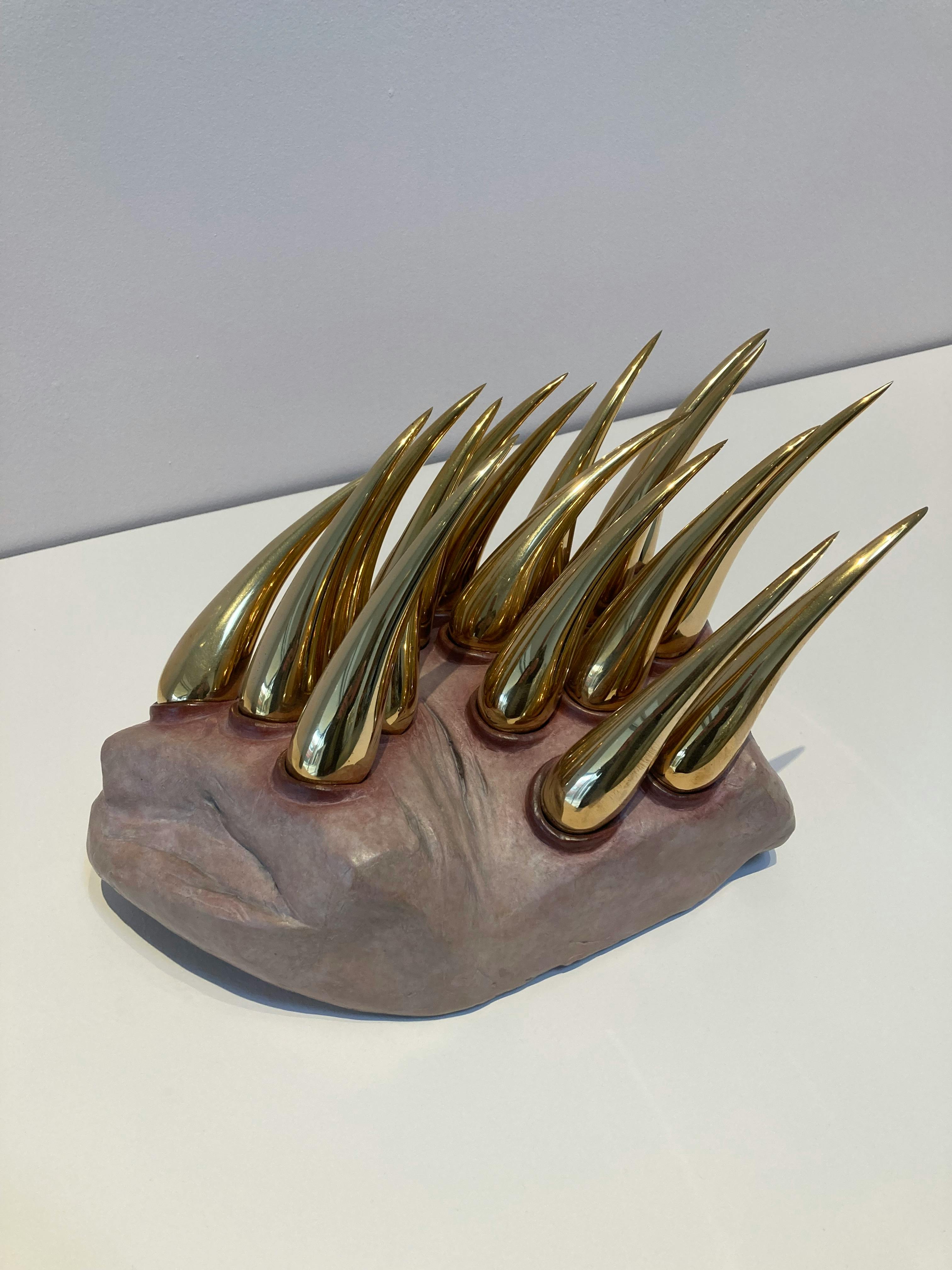 Stephen Carr - 사진