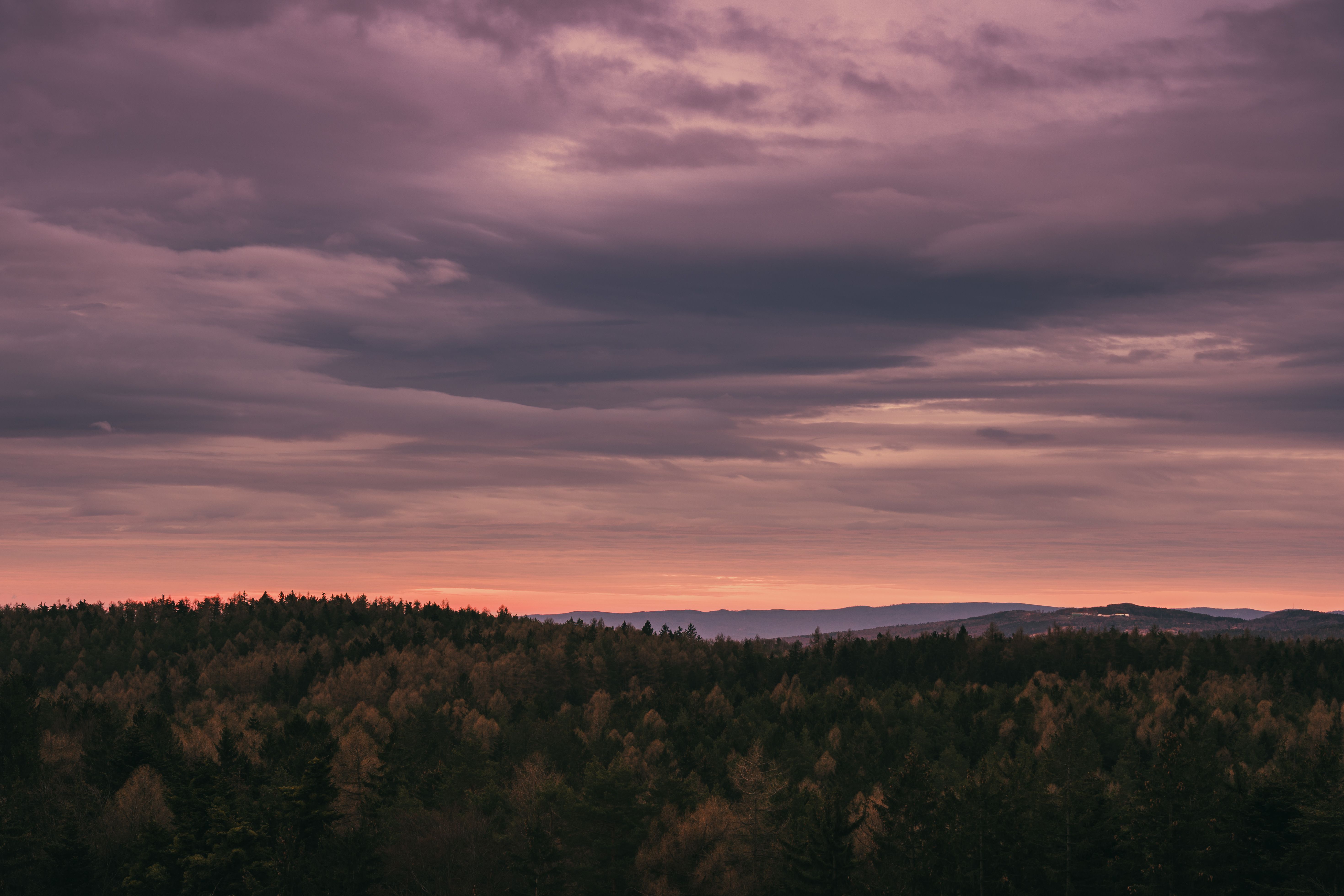 Aerial View of a Forest under a Sunset Sky · Free Stock Photo