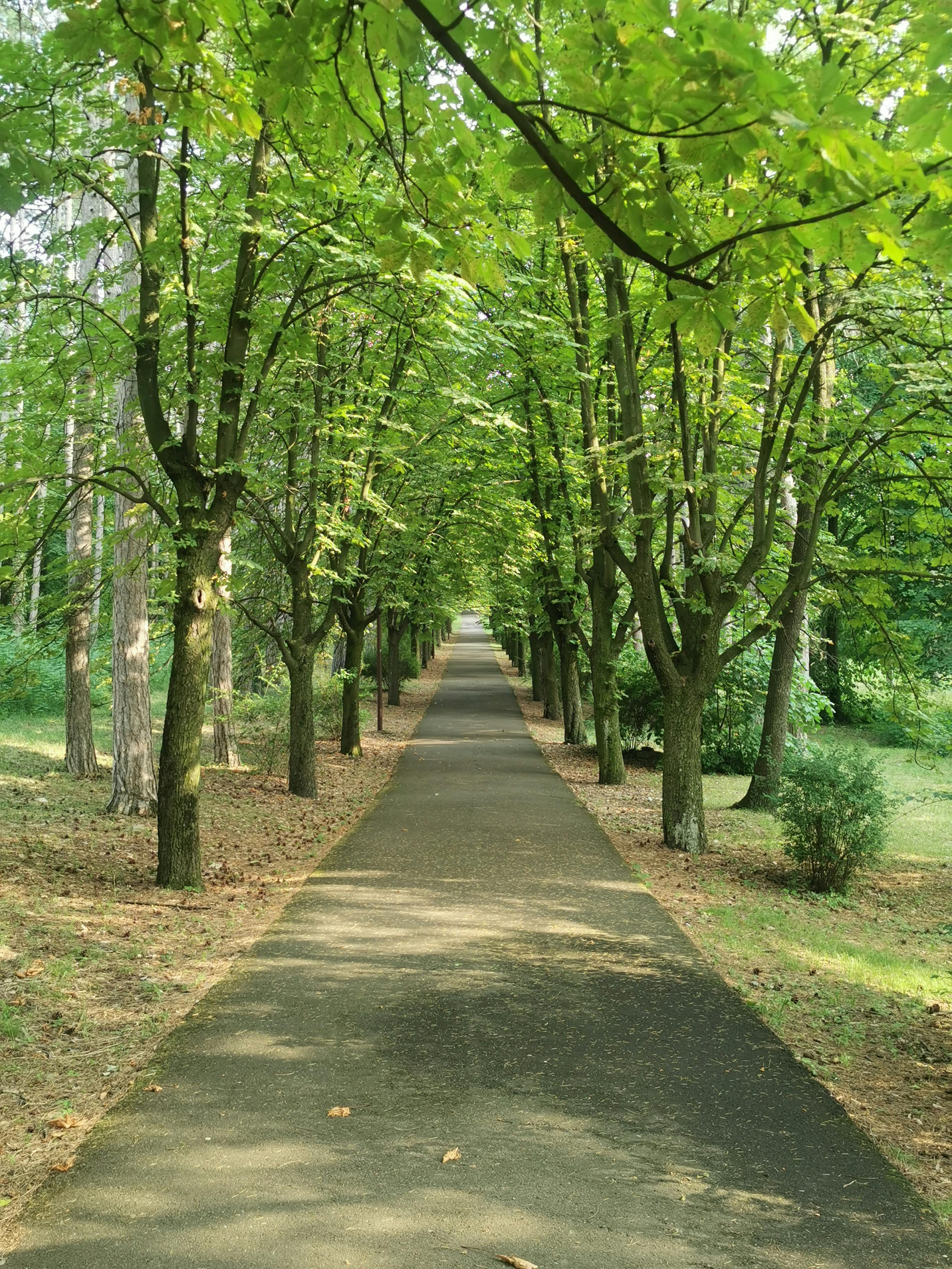 Cave Path Photos, Download The BEST Free Cave Path Stock Photos & HD Images