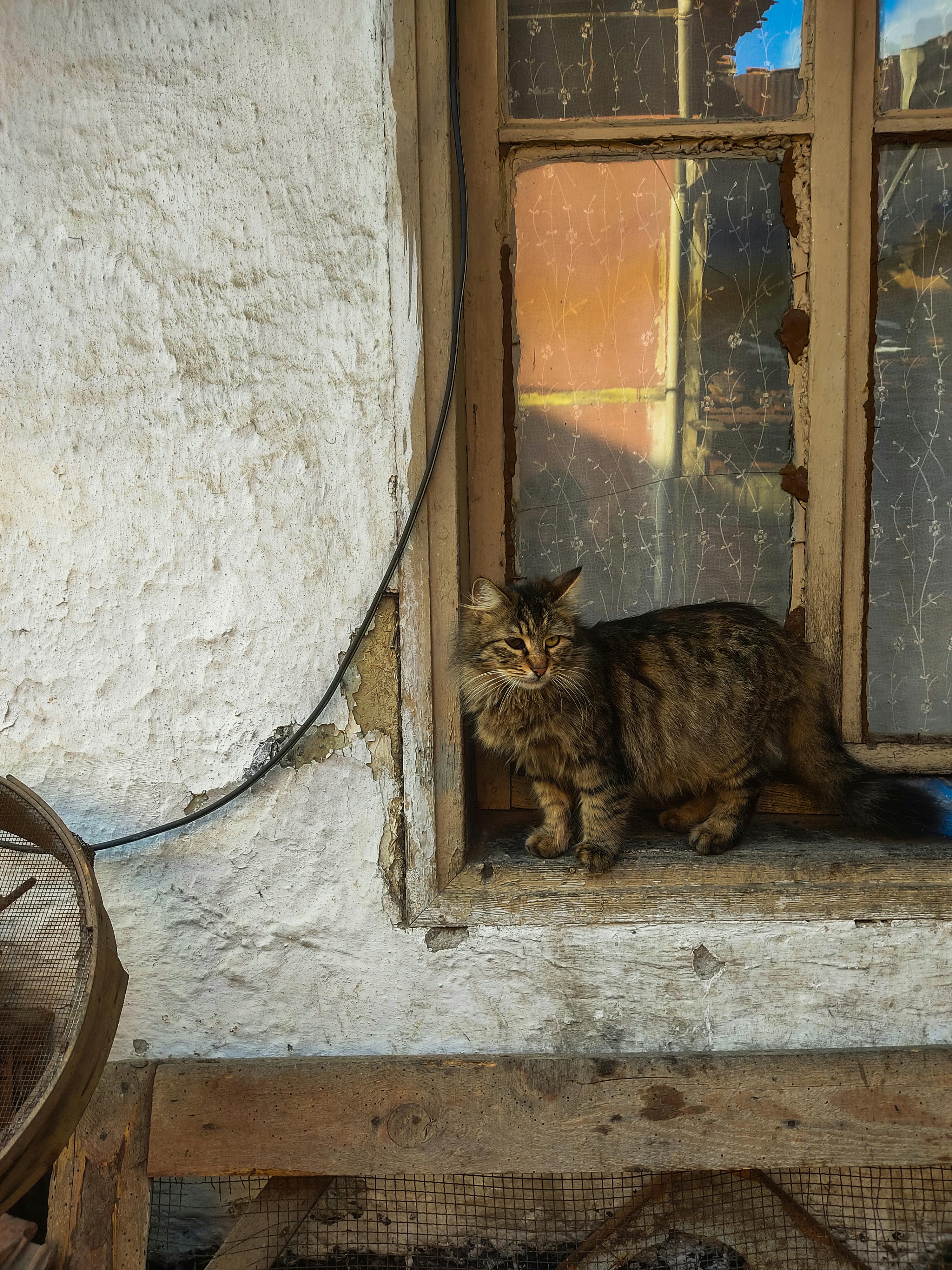 Animated Window Photos, Download The BEST Free Animated Window Stock ...