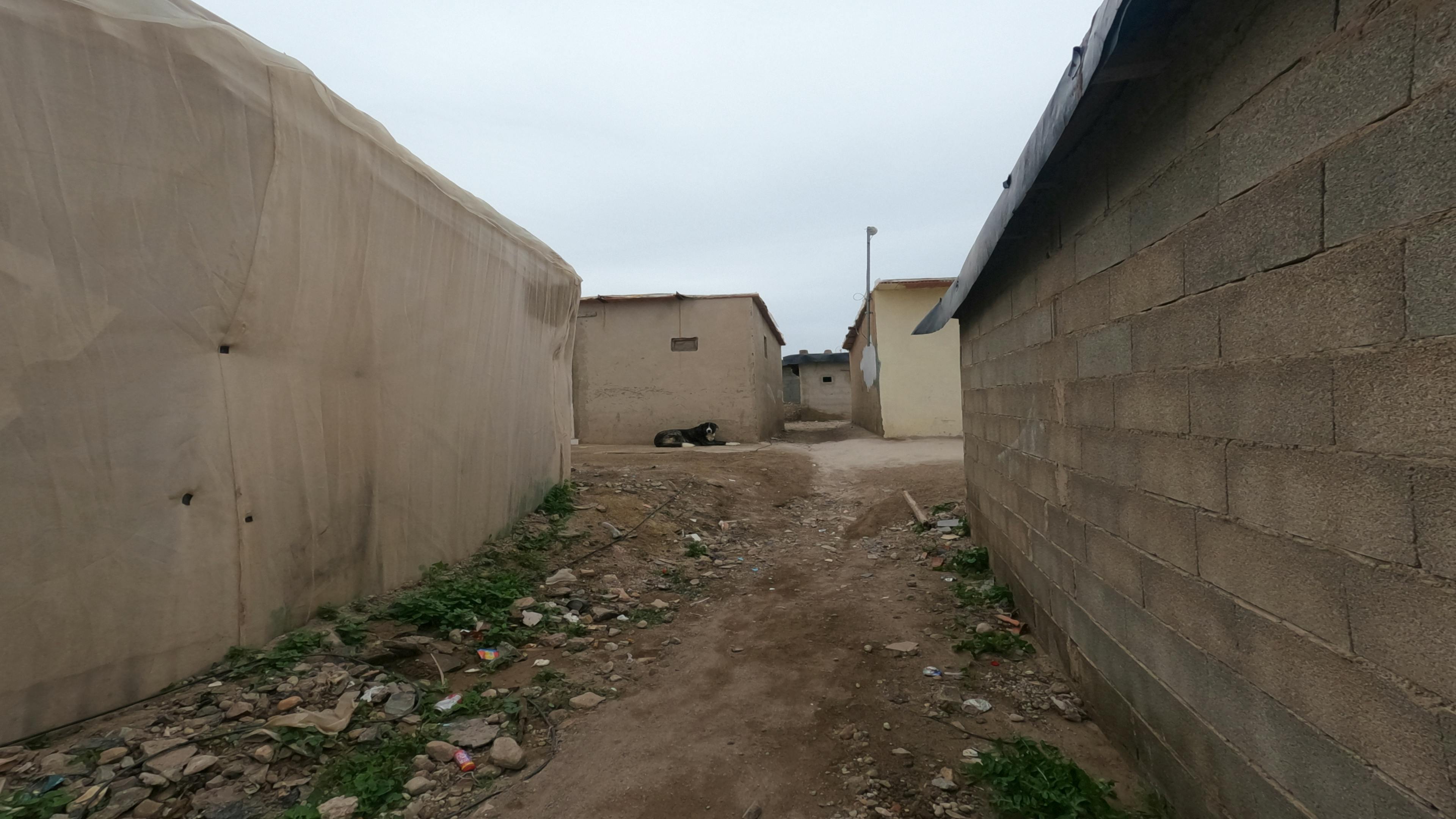 Ignacio Ortega – Fotografia