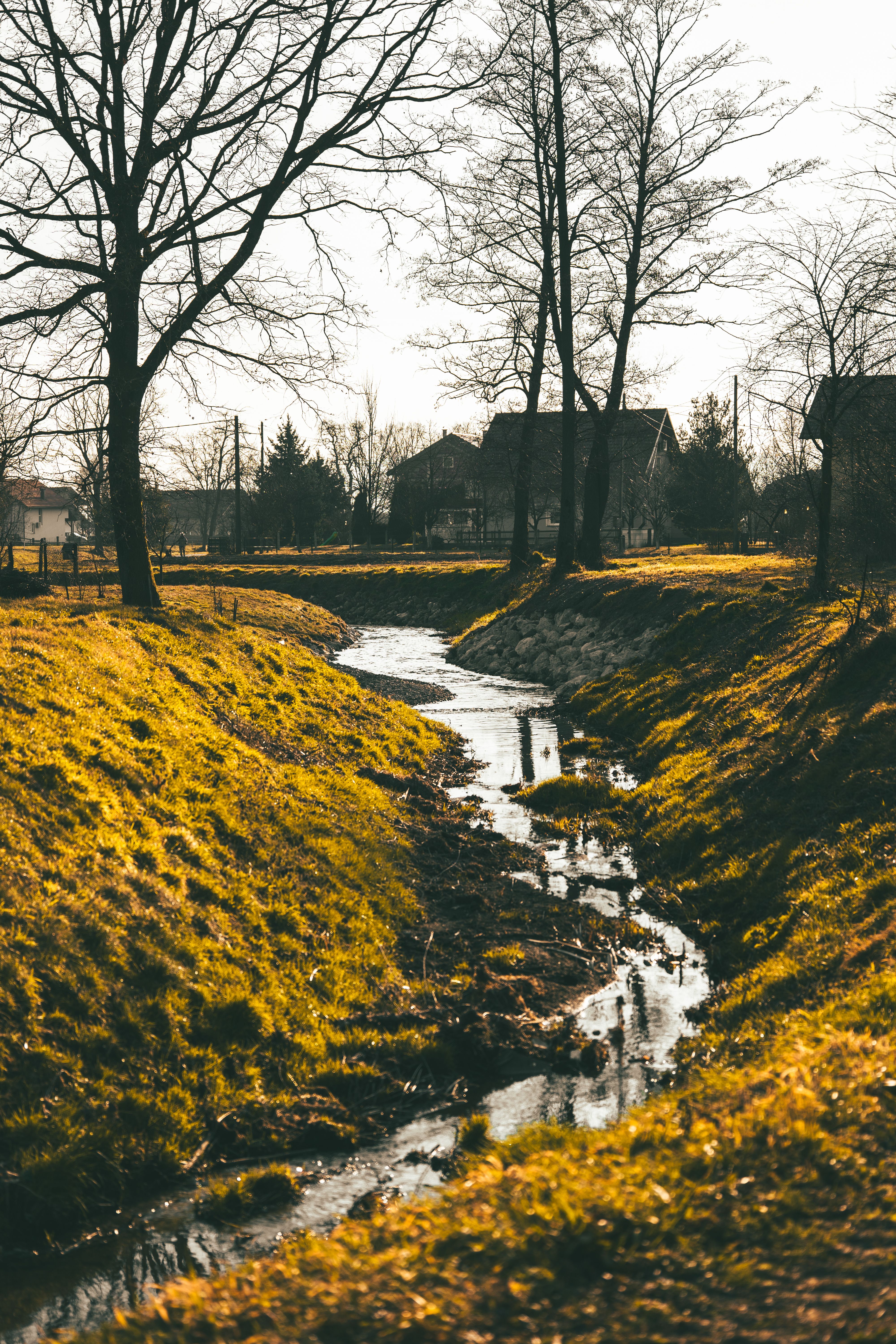 Stream in Park in Village · Free Stock Photo