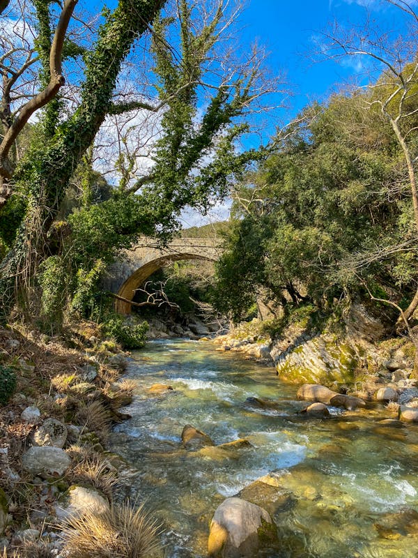 River Rocks Photos, Download The BEST Free River Rocks Stock Photos ...